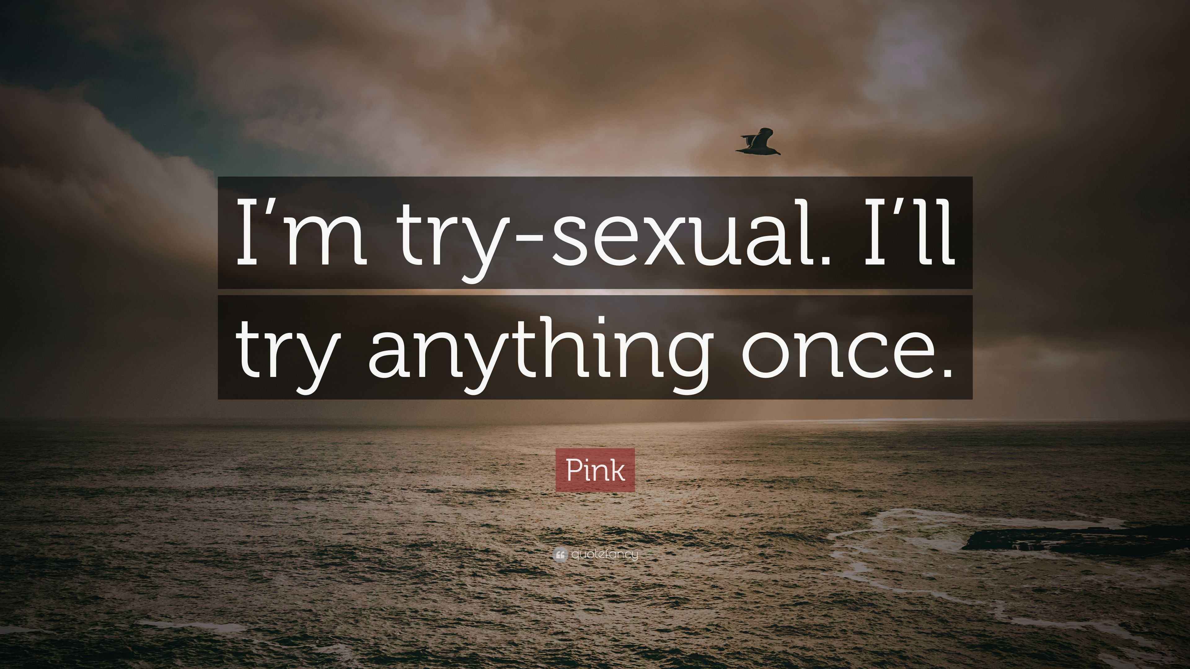 Pink Quote: “I’m try-sexual. I’ll try anything once.”
