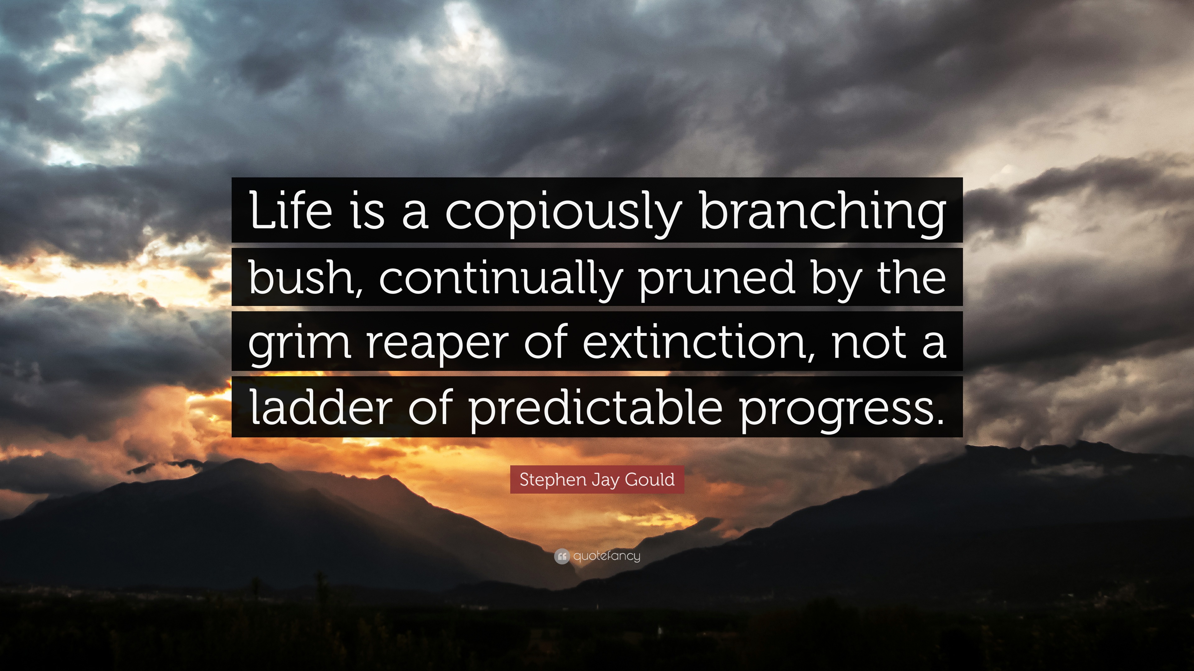 Stephen Jay Gould Quote: “Life is a copiously branching bush ...