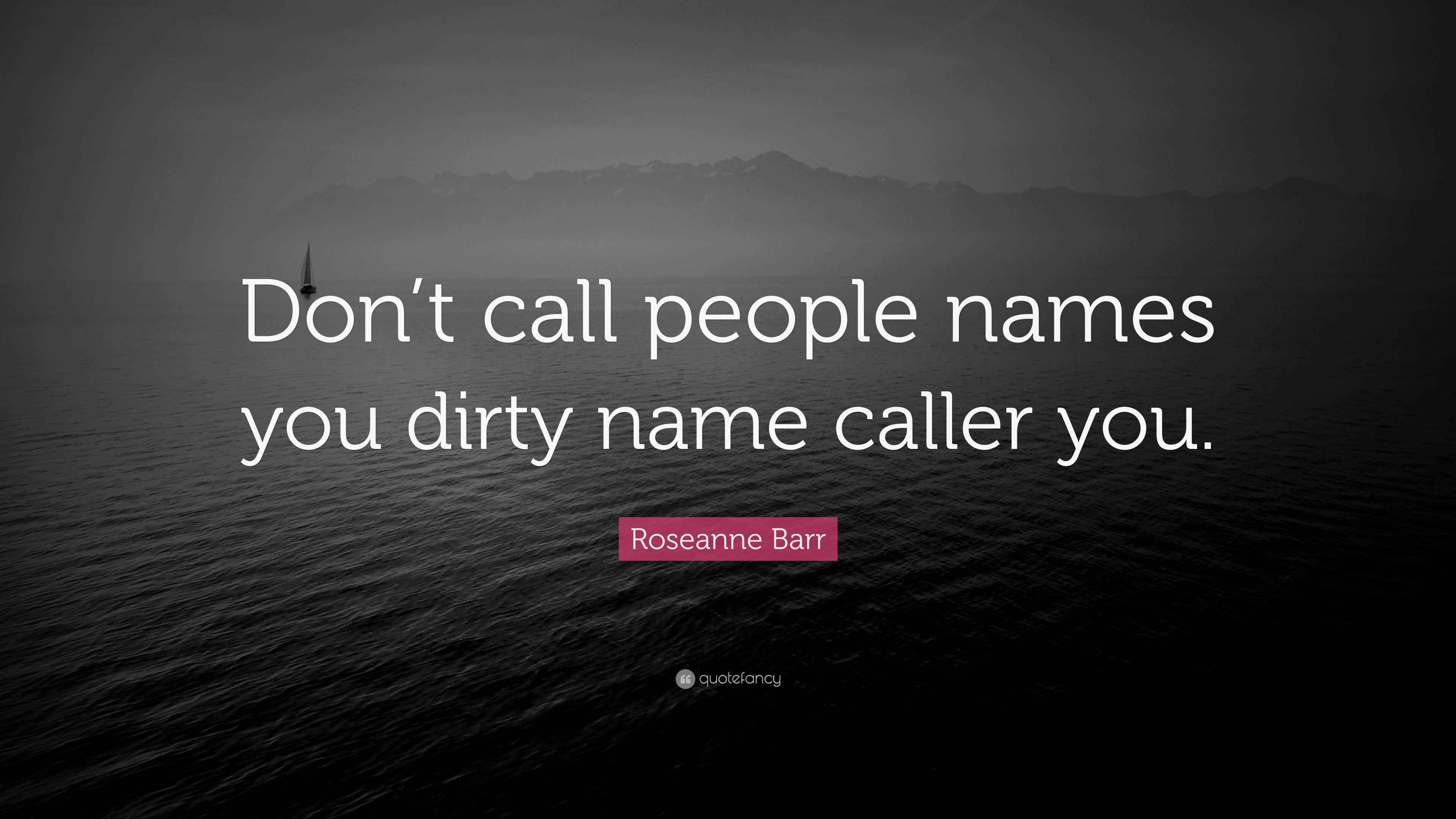 Roseanne Barr Quote: “Don’t call people names you dirty name caller you.”