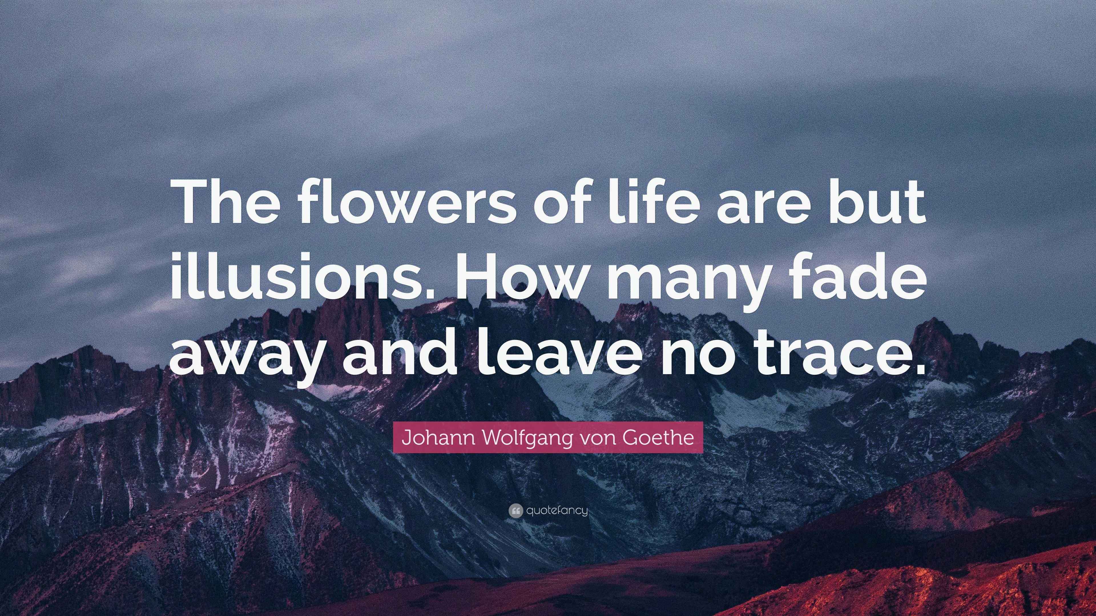 Johann Wolfgang von Goethe Quote: “The flowers of life are but ...