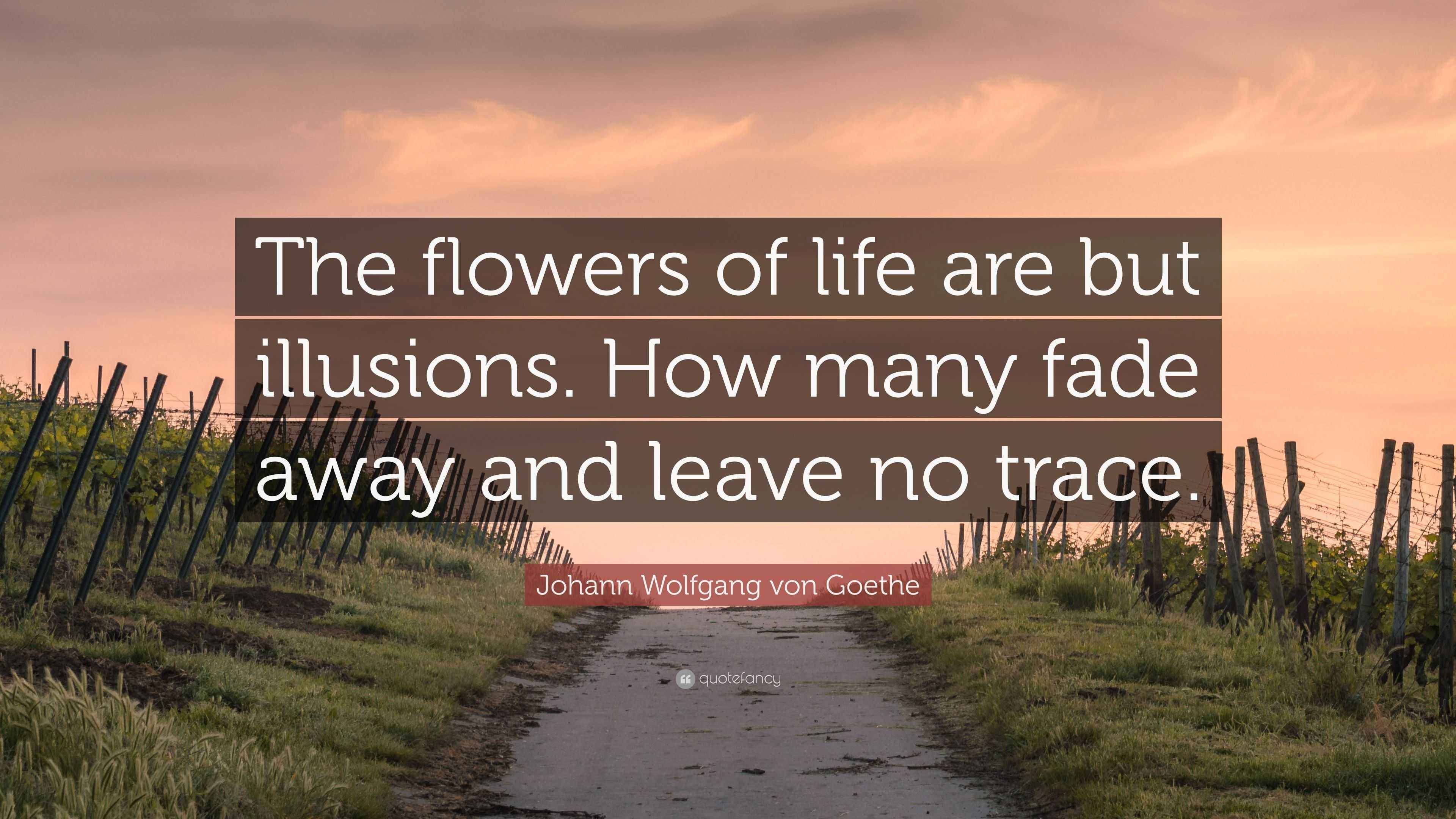 Johann Wolfgang von Goethe Quote: “The flowers of life are but ...