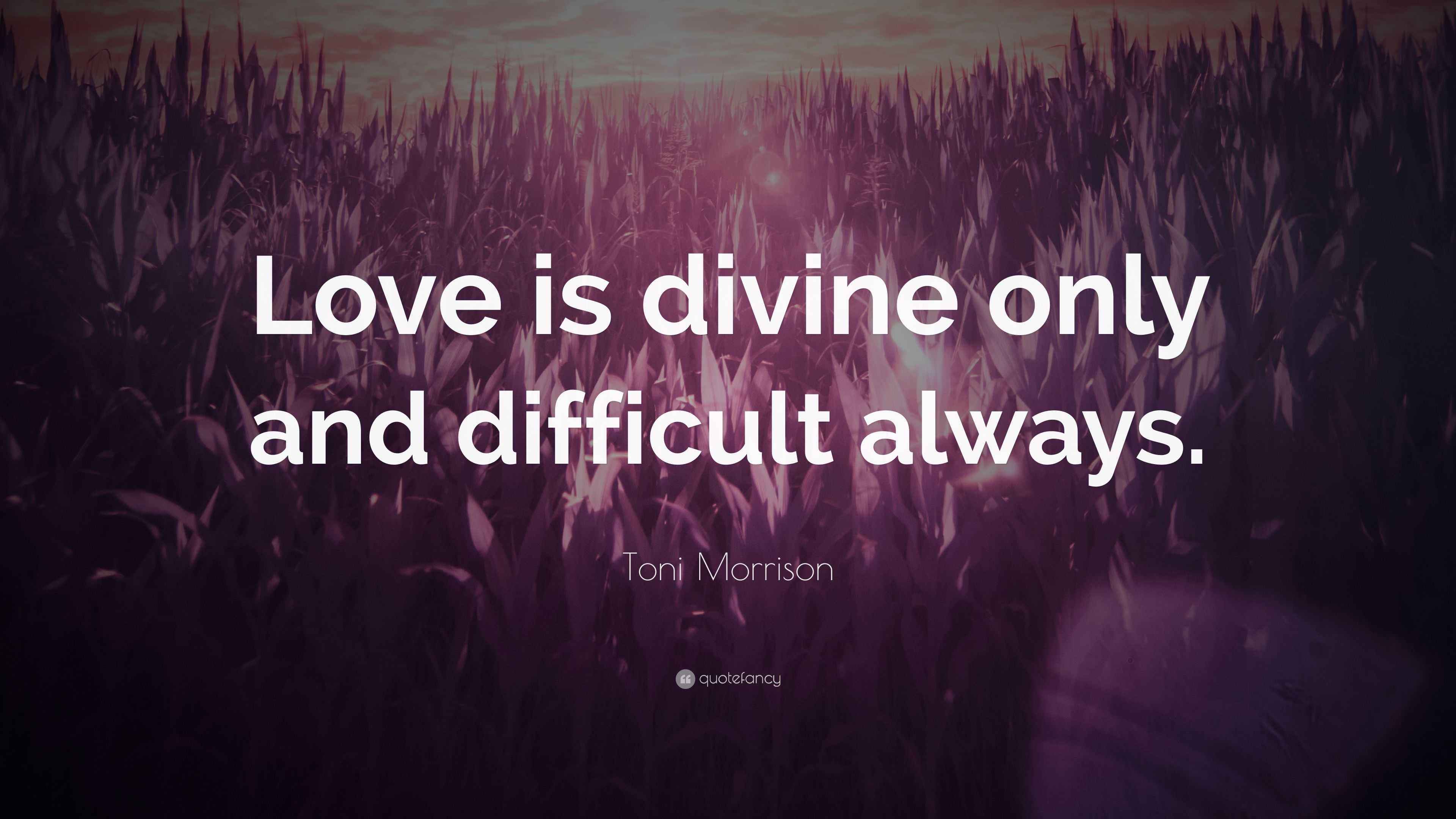 Toni Morrison Quote: “Love is divine only and difficult always.”