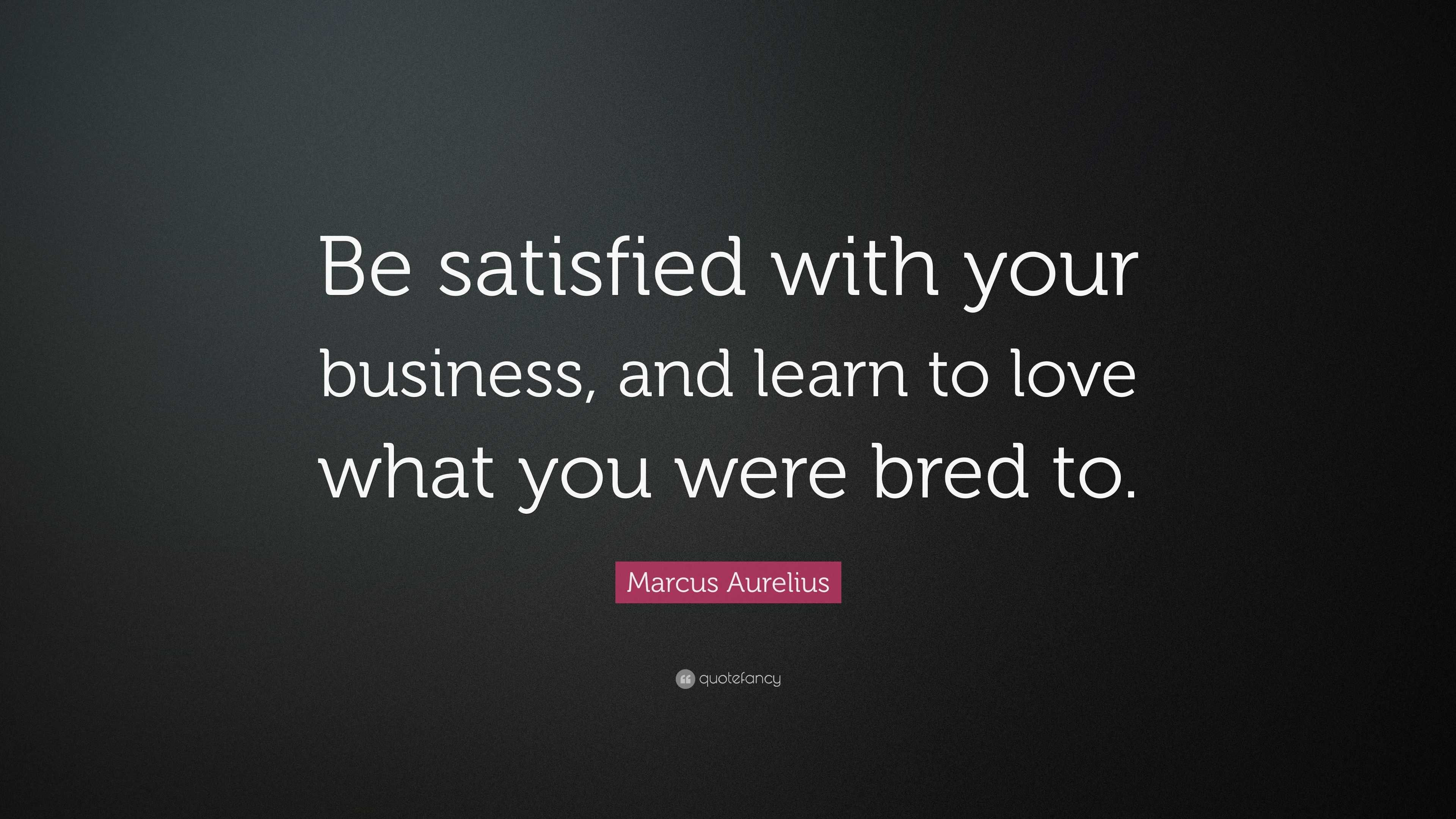 Marcus Aurelius Quote: “Be satisfied with your business, and learn to ...
