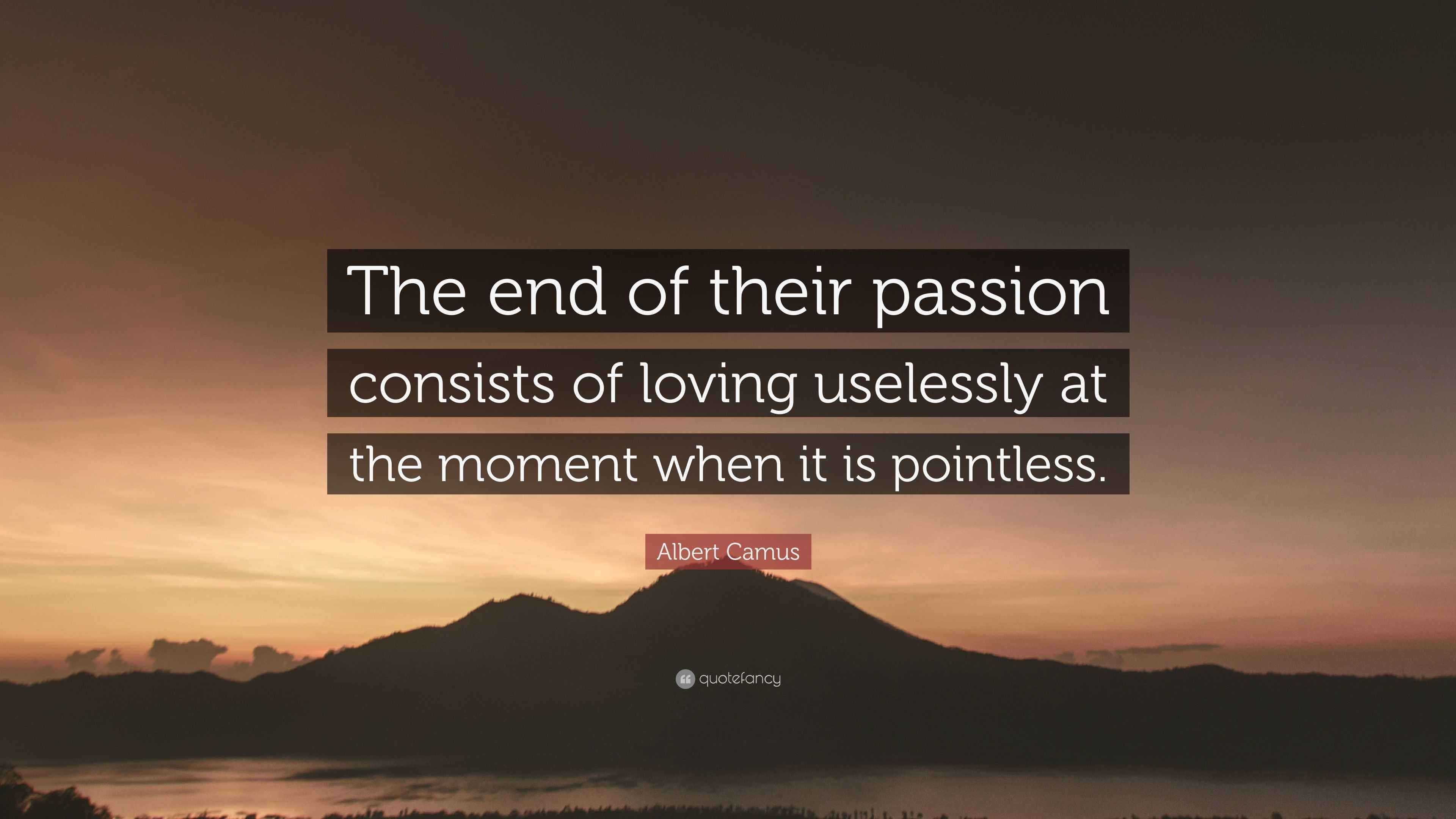 Albert Camus Quote: “The end of their passion consists of loving ...