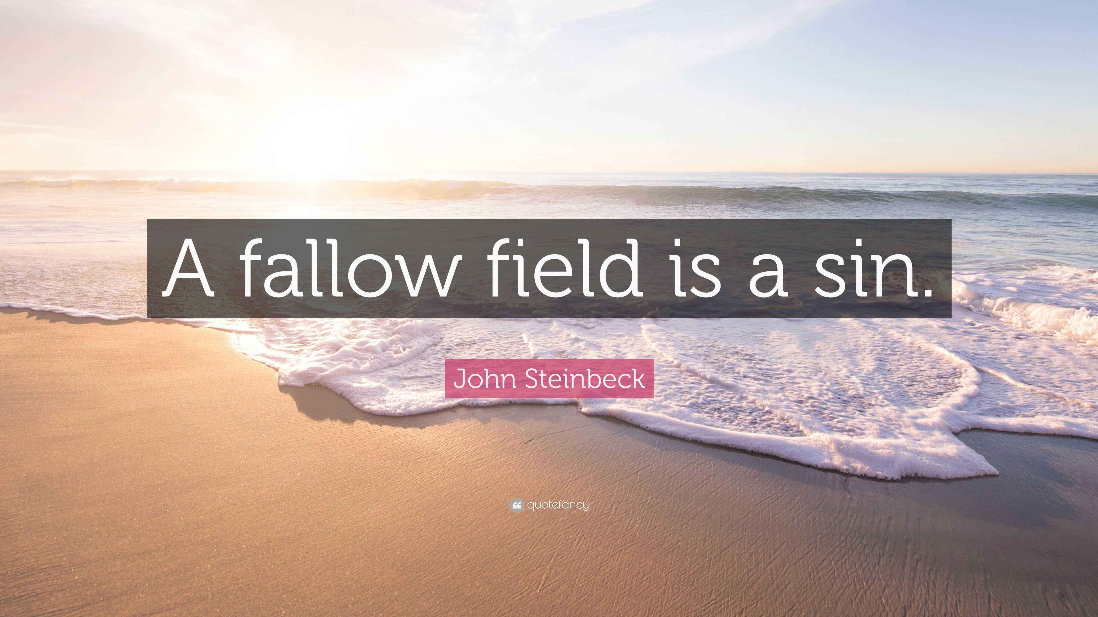 John Steinbeck Quote: “A fallow field is a sin.”