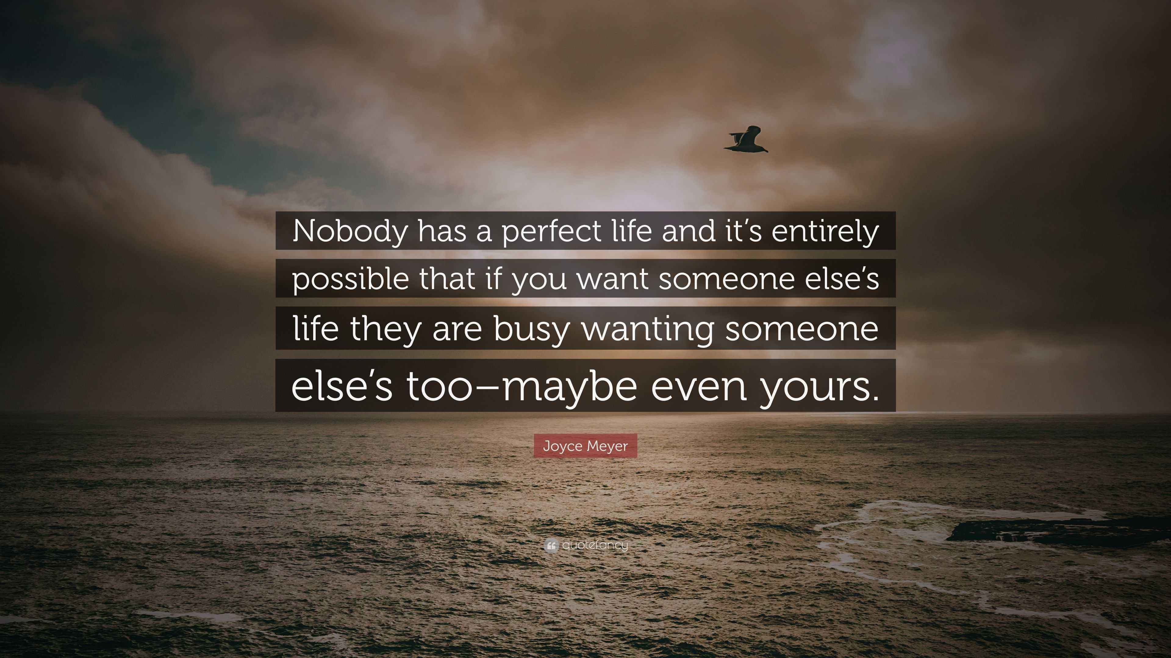 Joyce Meyer Quote: “Nobody has a perfect life and it’s entirely ...