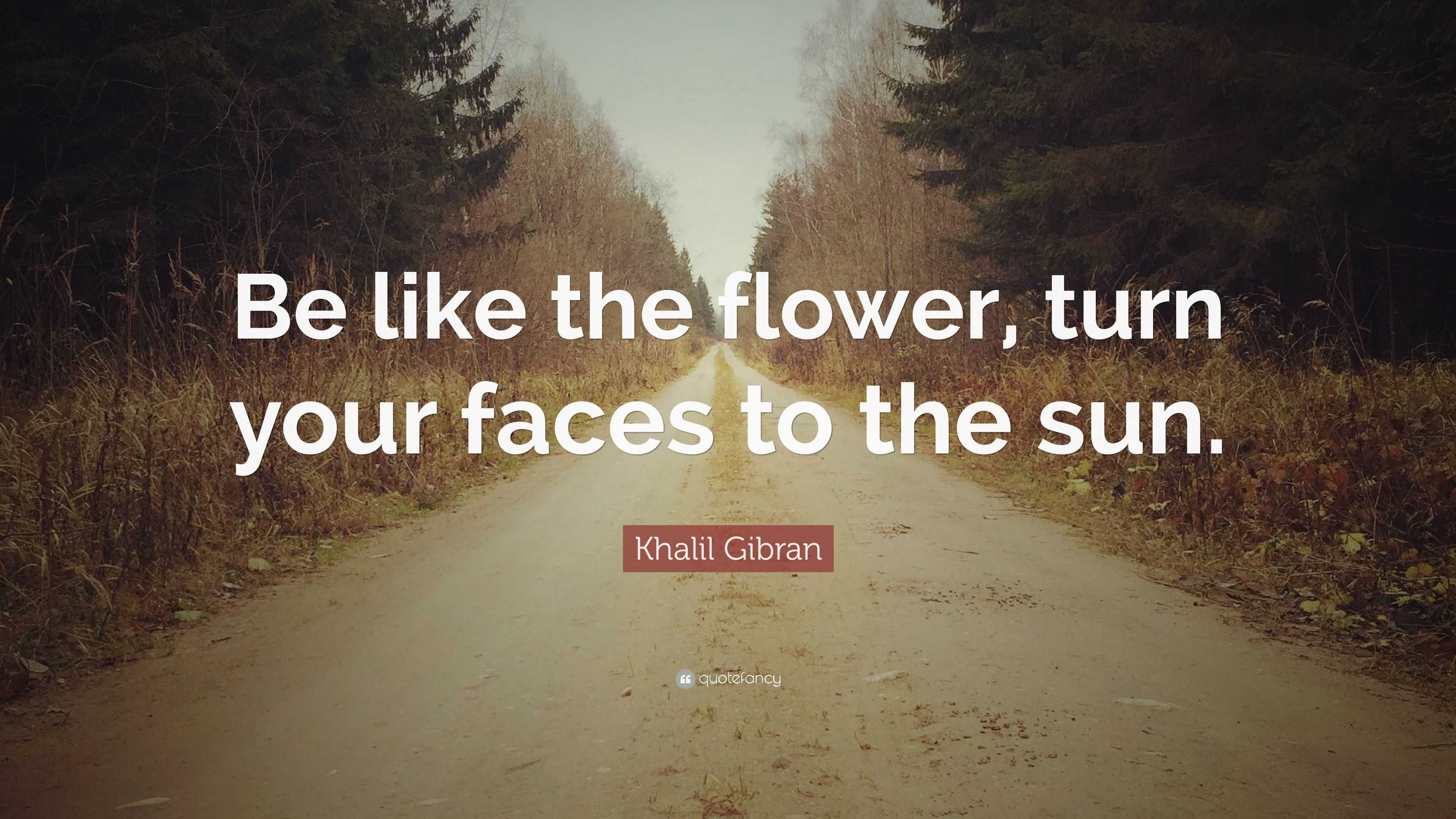 Khalil Gibran Quote: “Be like the flower, turn your faces to the sun.”