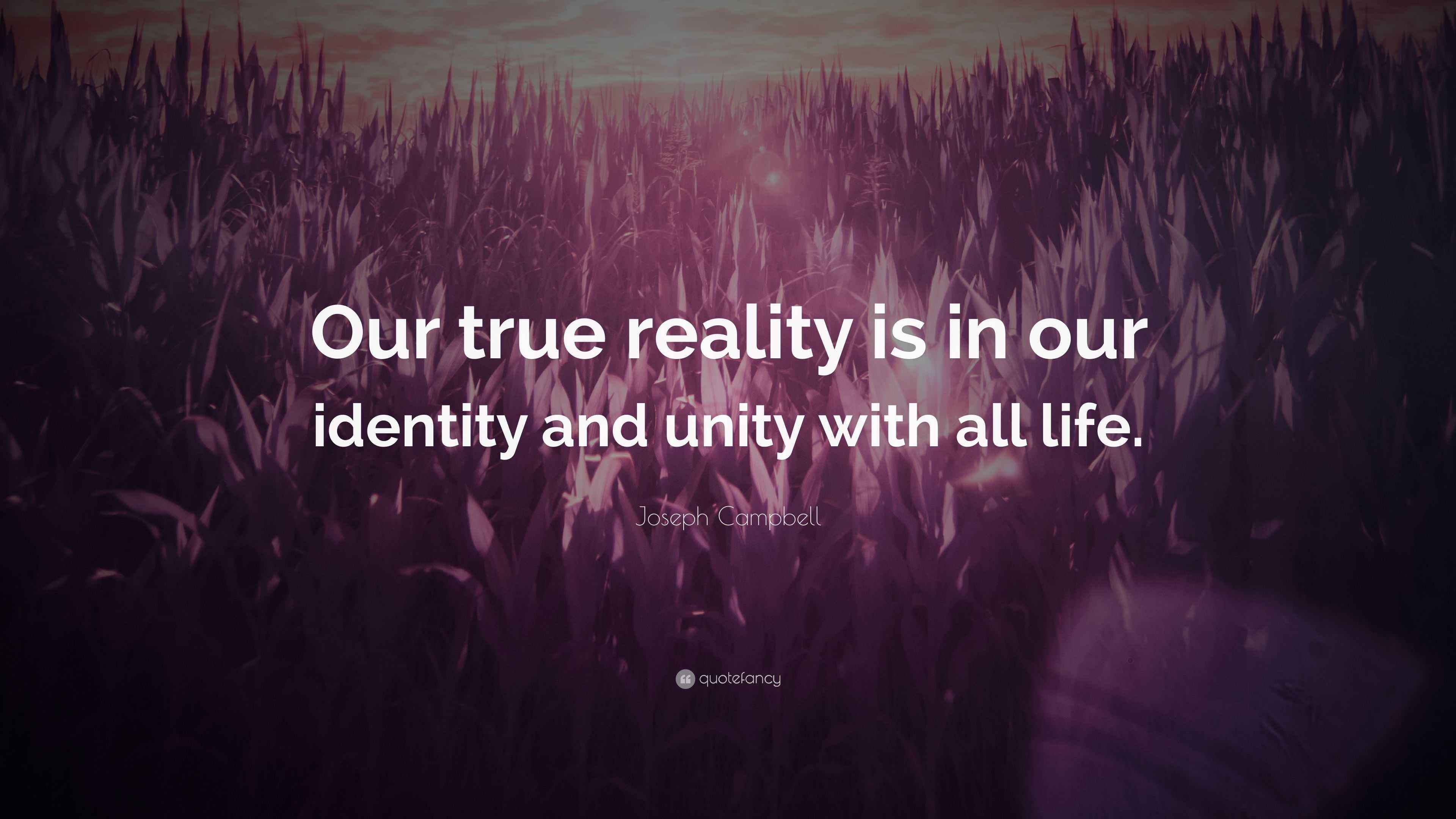 Joseph Campbell Quote: “Our true reality is in our identity and unity ...
