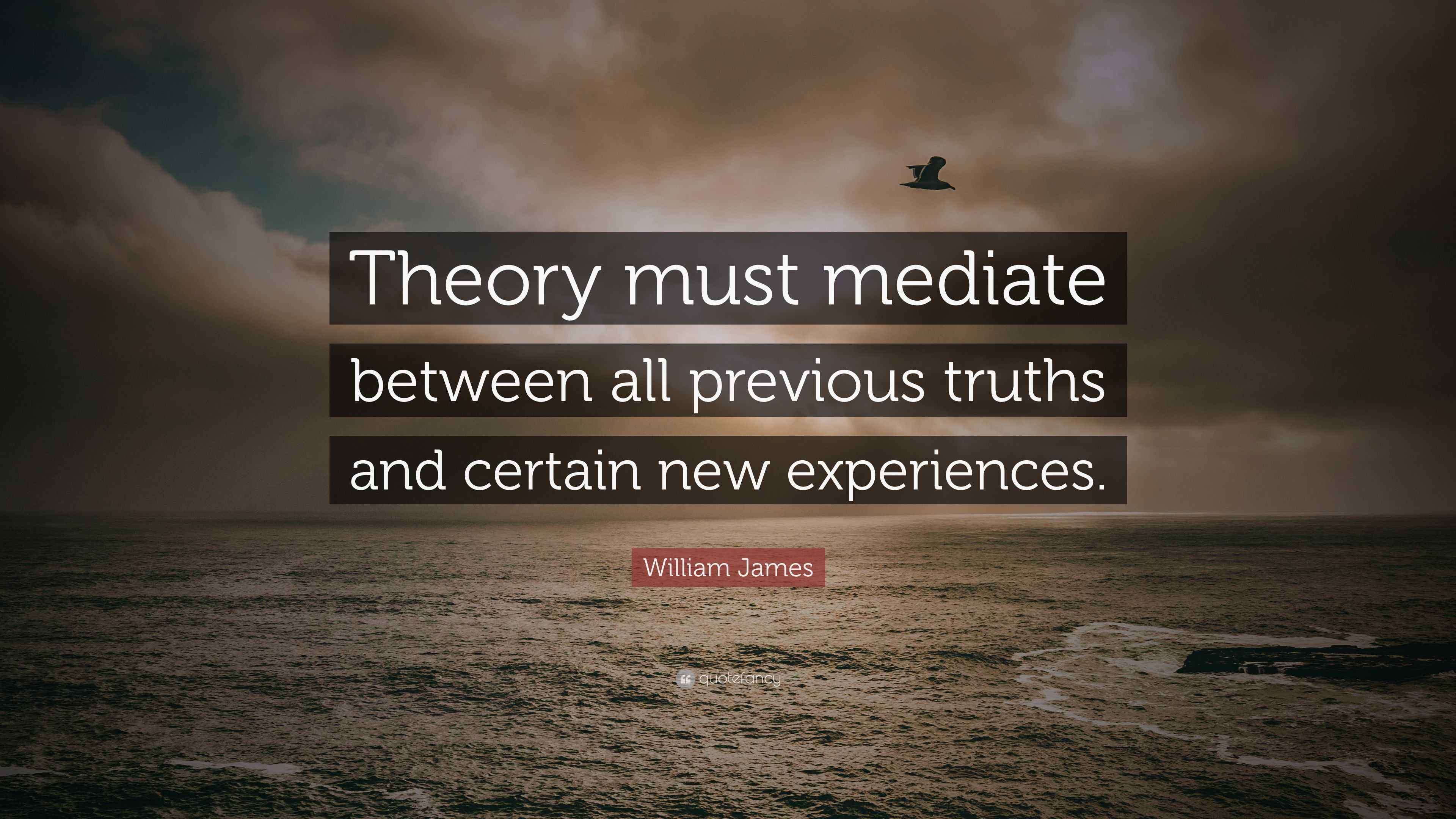 William James Quote: “Theory must mediate between all previous truths ...