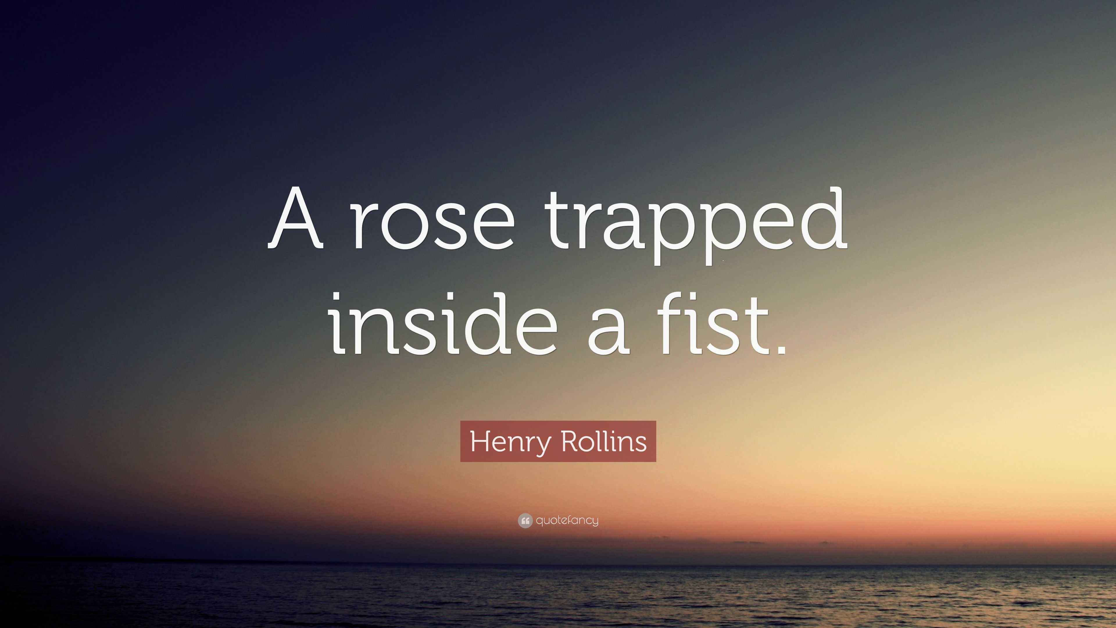 Henry Rollins Quote: “A rose trapped inside a fist.”