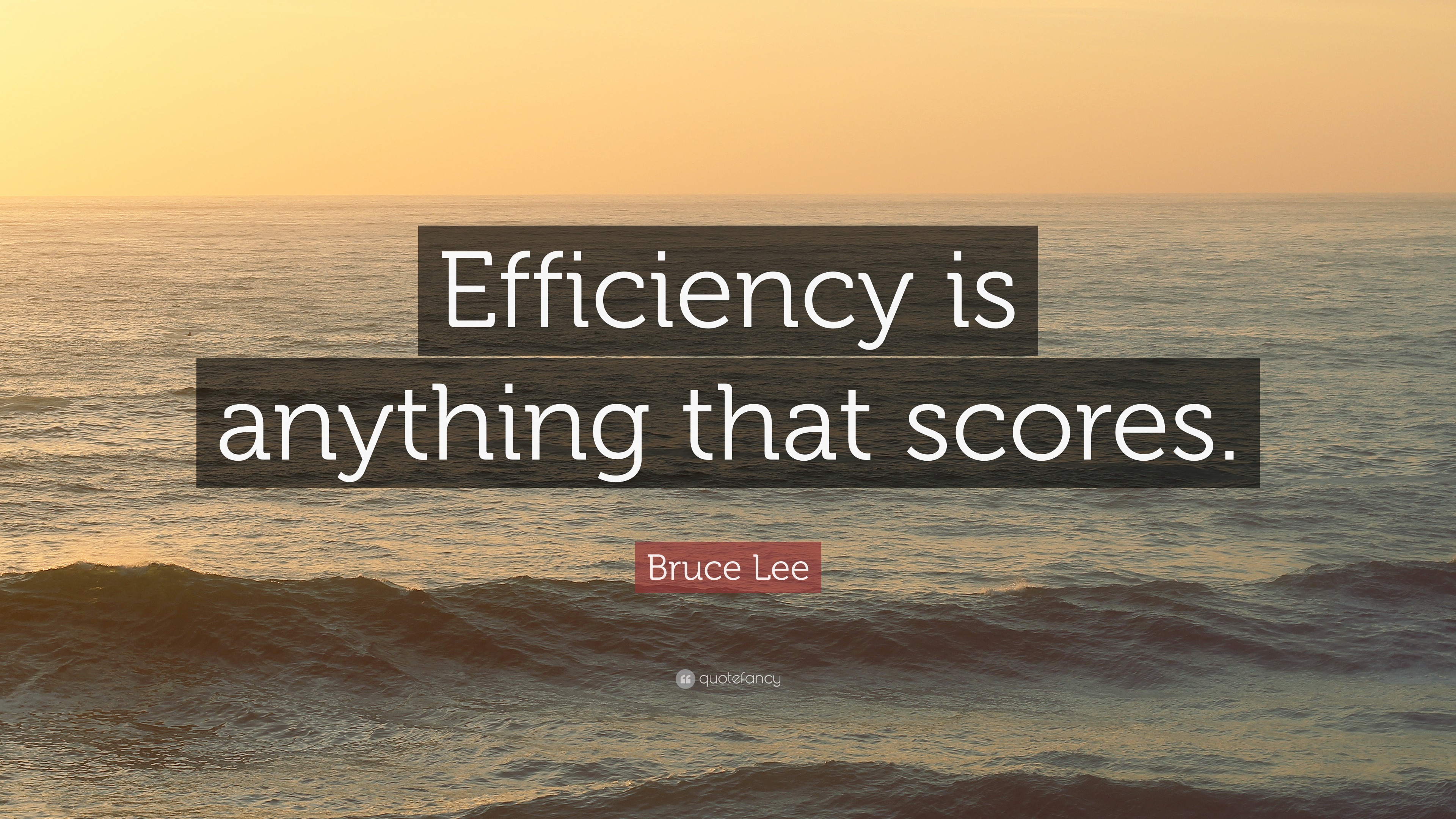 Bruce Lee Quote: “Efficiency is anything that scores.”