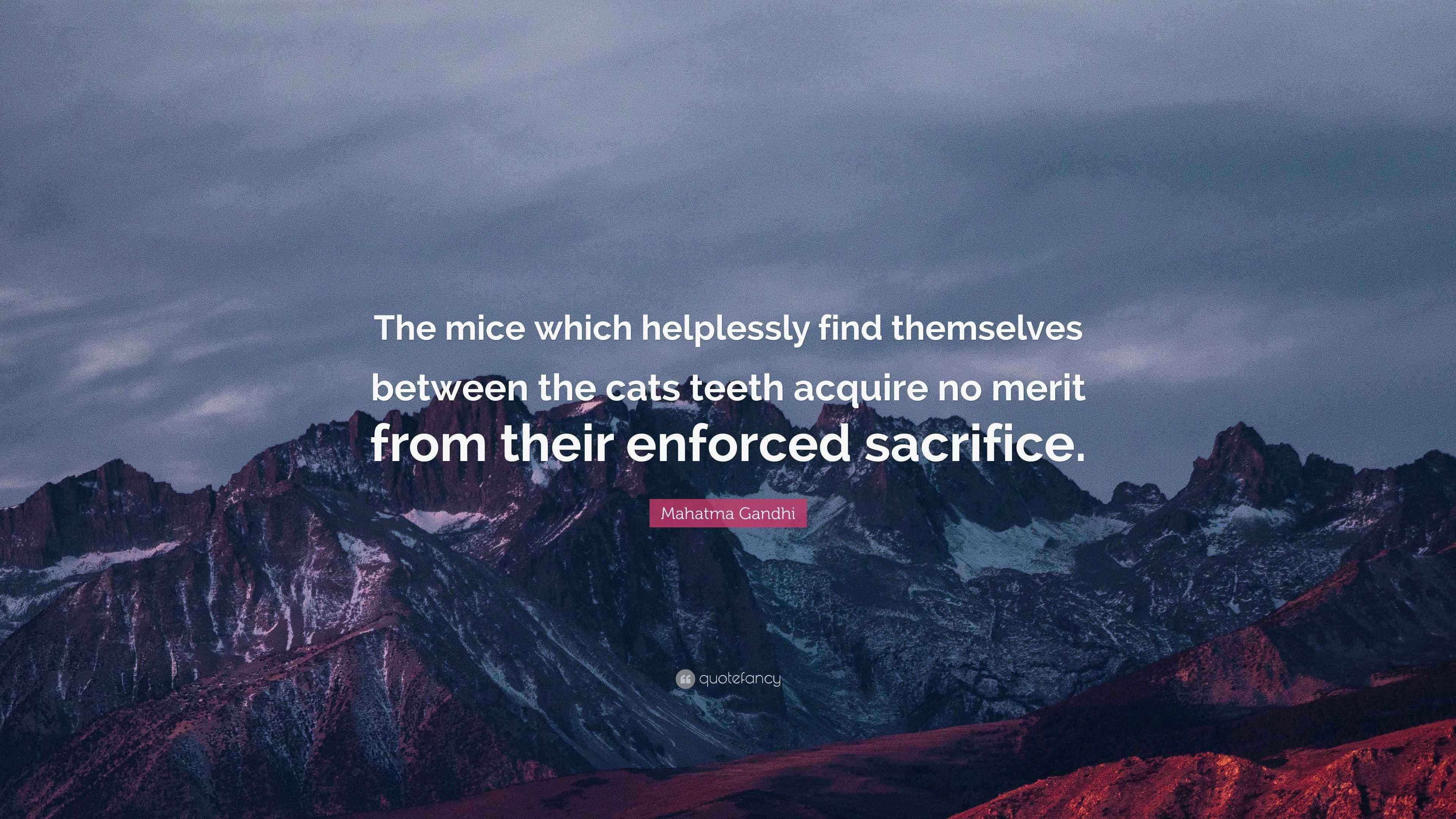 Mahatma Gandhi Quote: “The mice which helplessly find themselves ...
