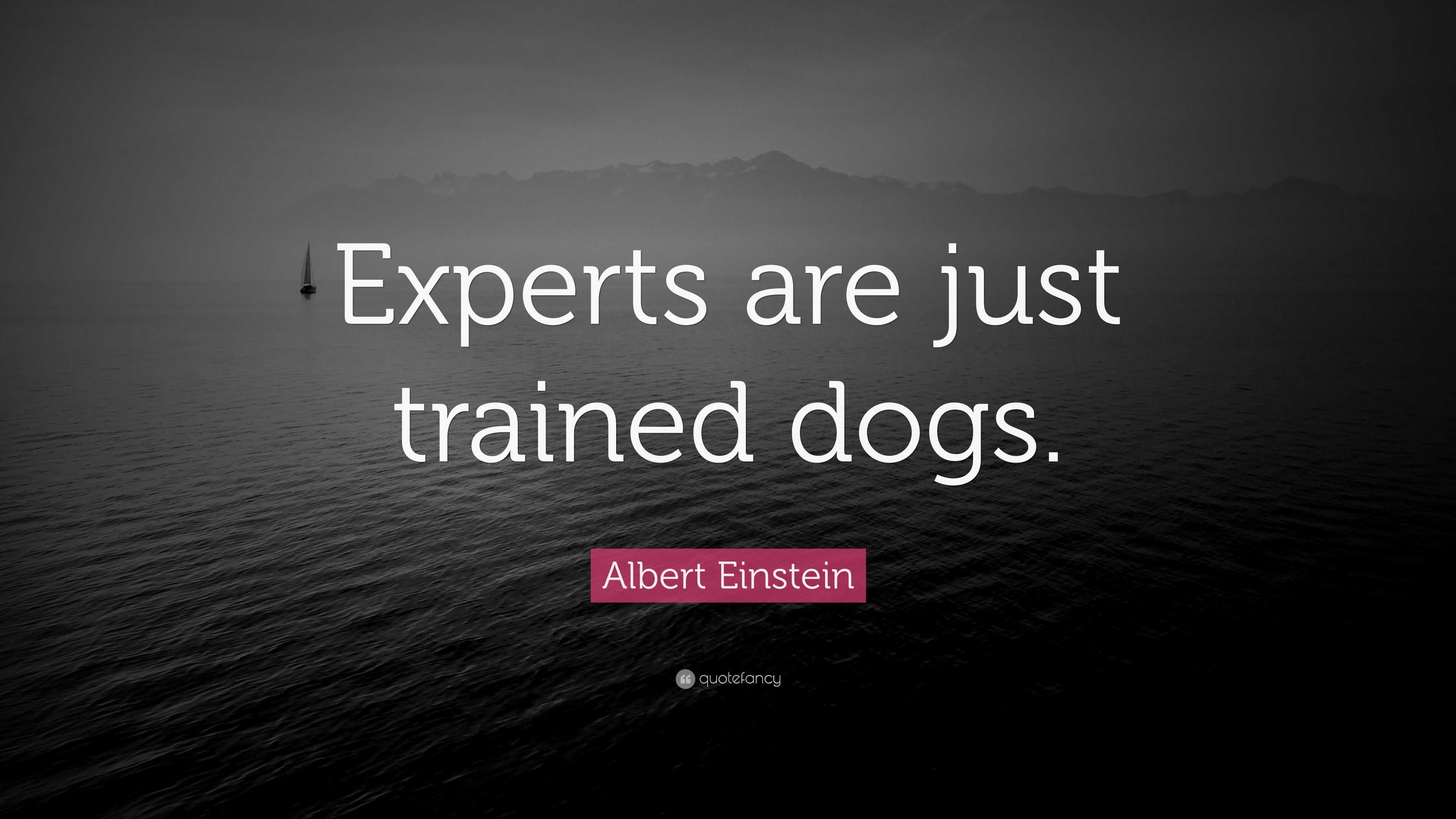 Albert Einstein Quote: “Experts are just trained dogs.”