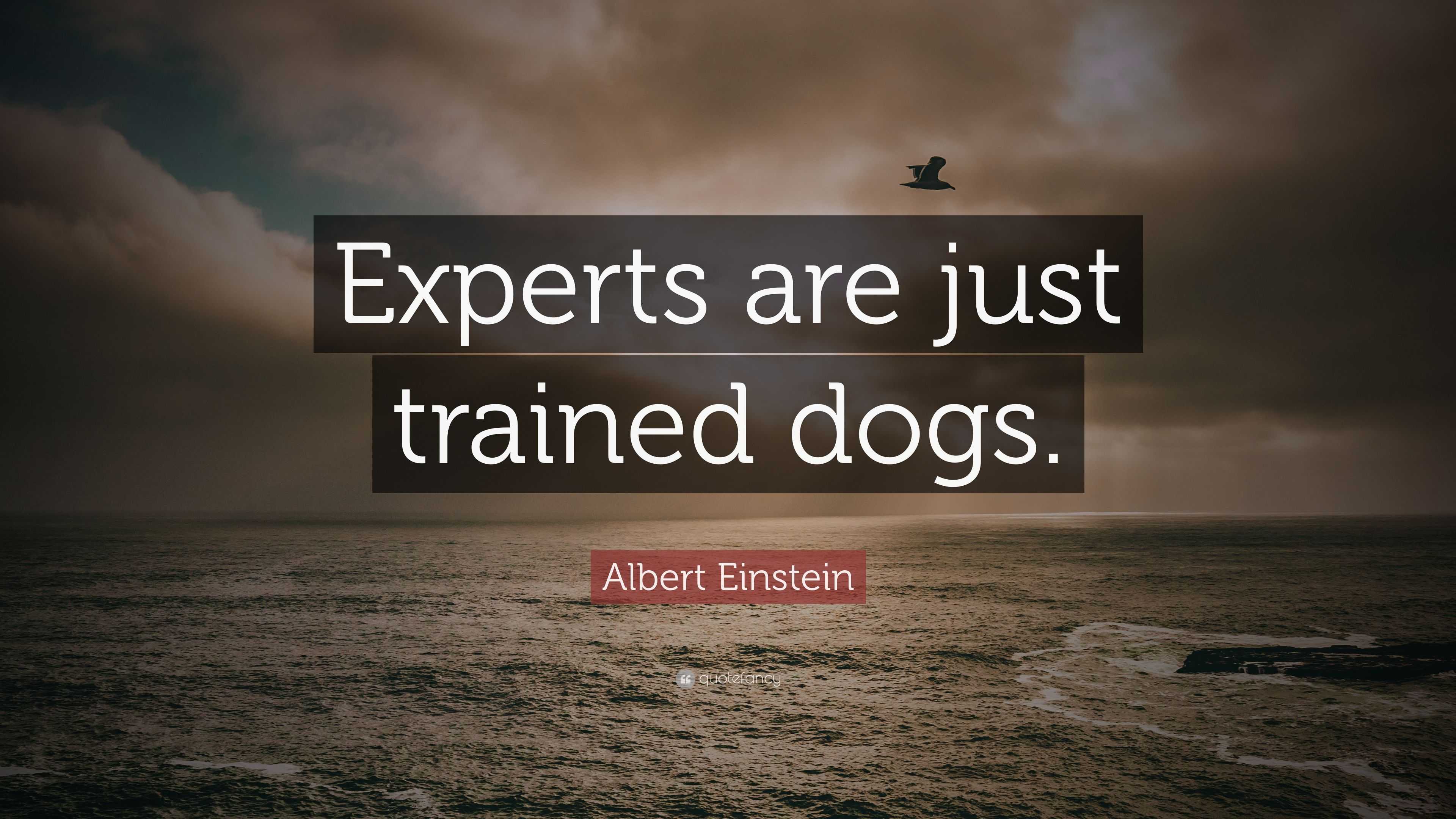 Albert Einstein Quote: “Experts are just trained dogs.”