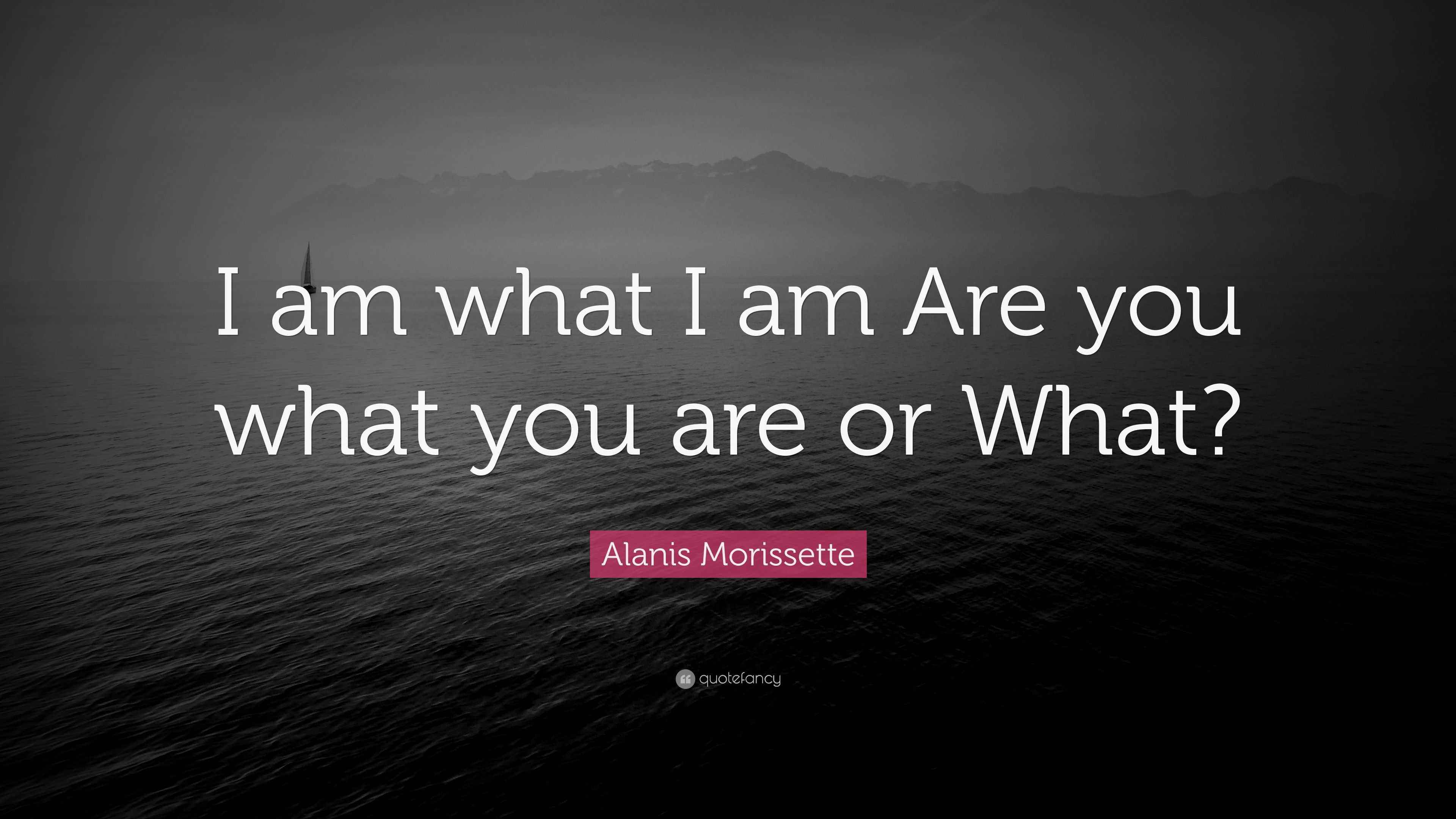 Alanis Morissette Quote: “I am what I am Are you what you are or What?”