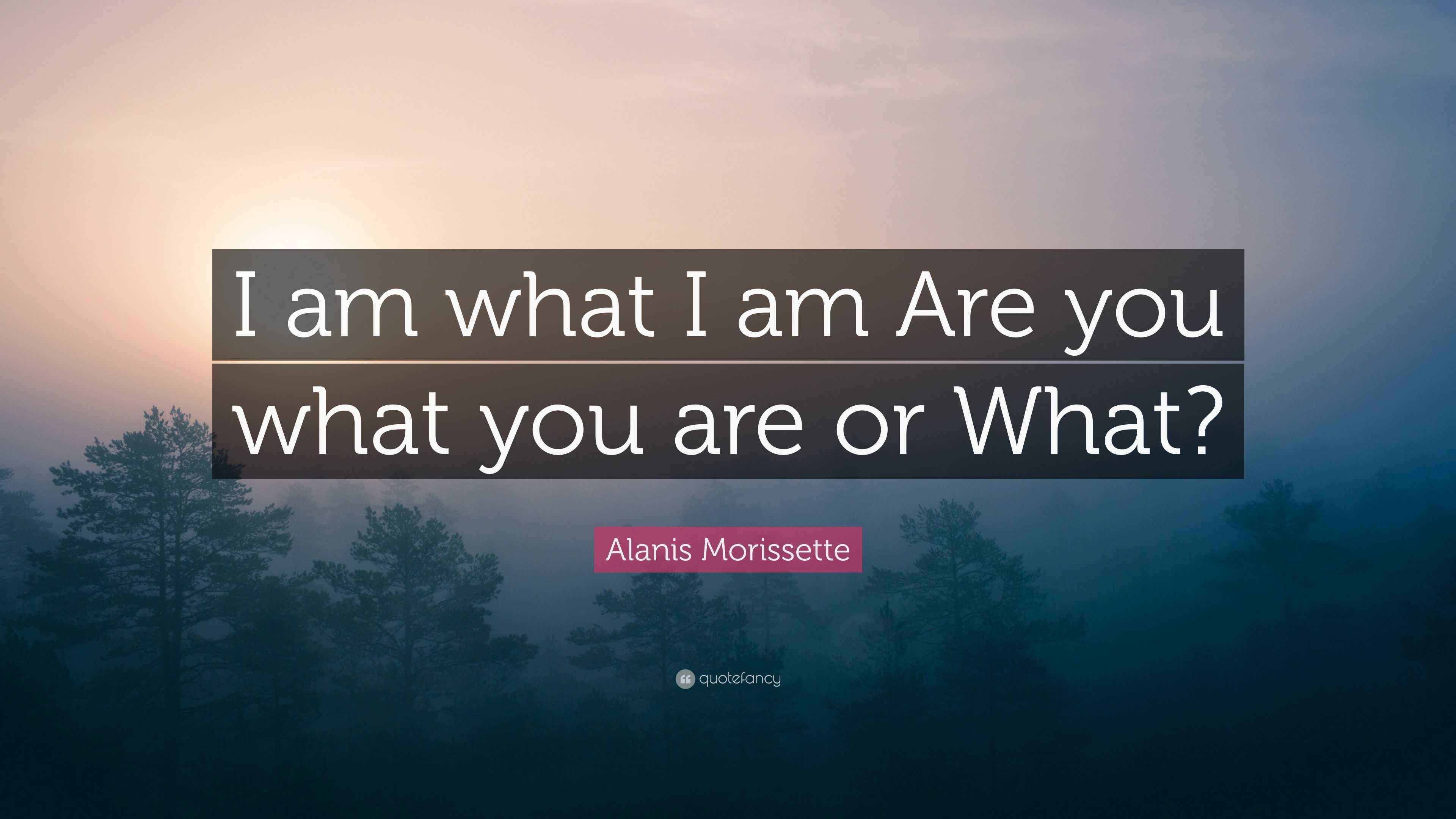 Alanis Morissette Quote: “I am what I am Are you what you are or What?”