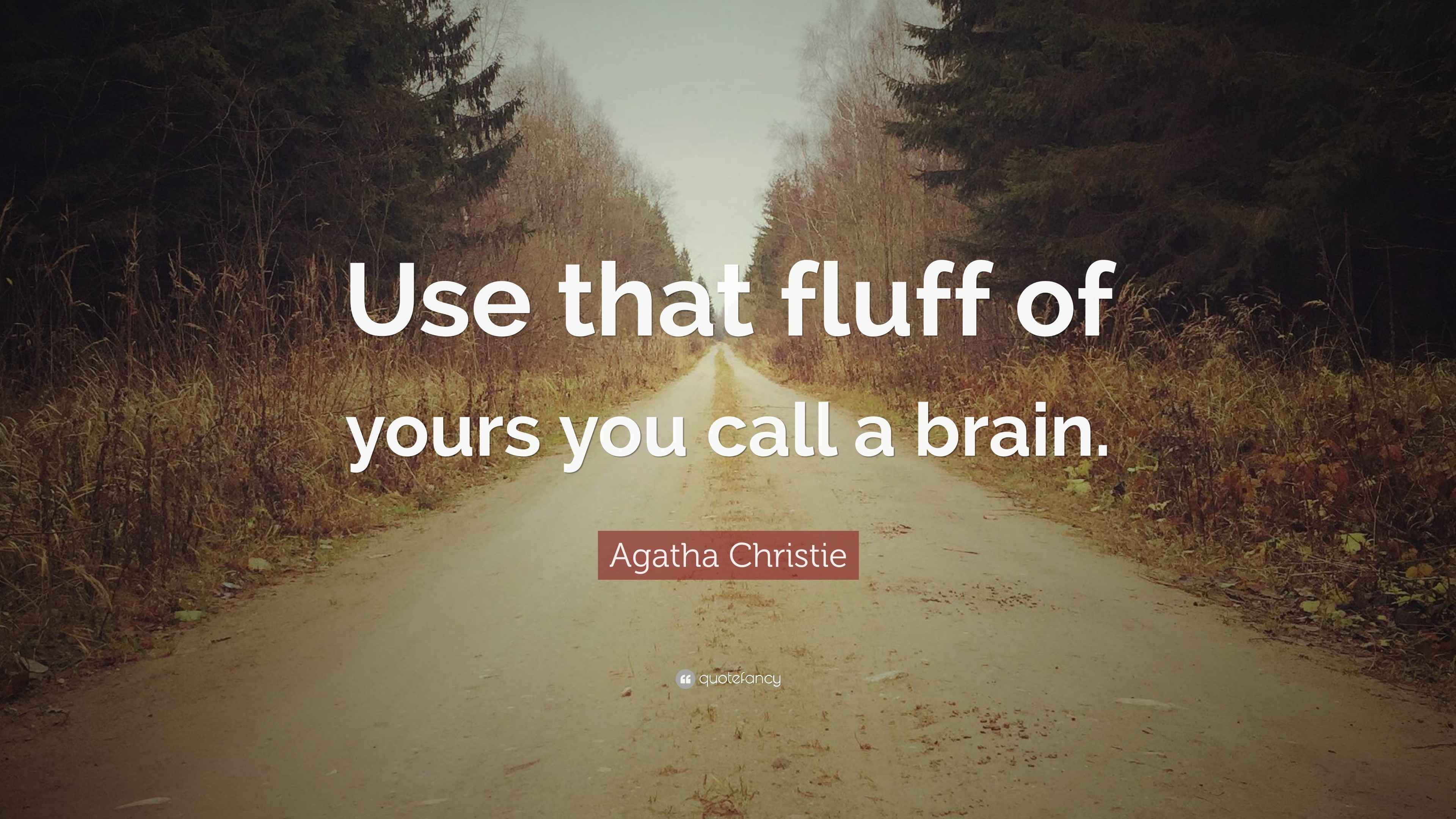 Agatha Christie Quote: “Use that fluff of yours you call a brain.”