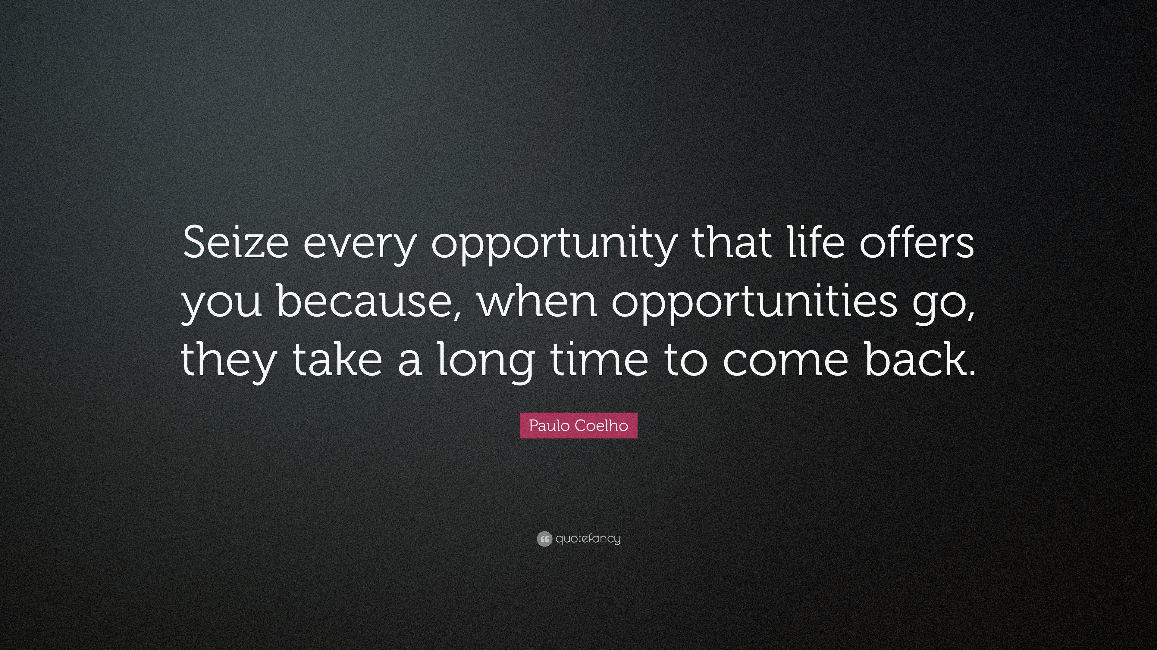 Paulo Coelho Quote: “Seize every opportunity that life offers you ...