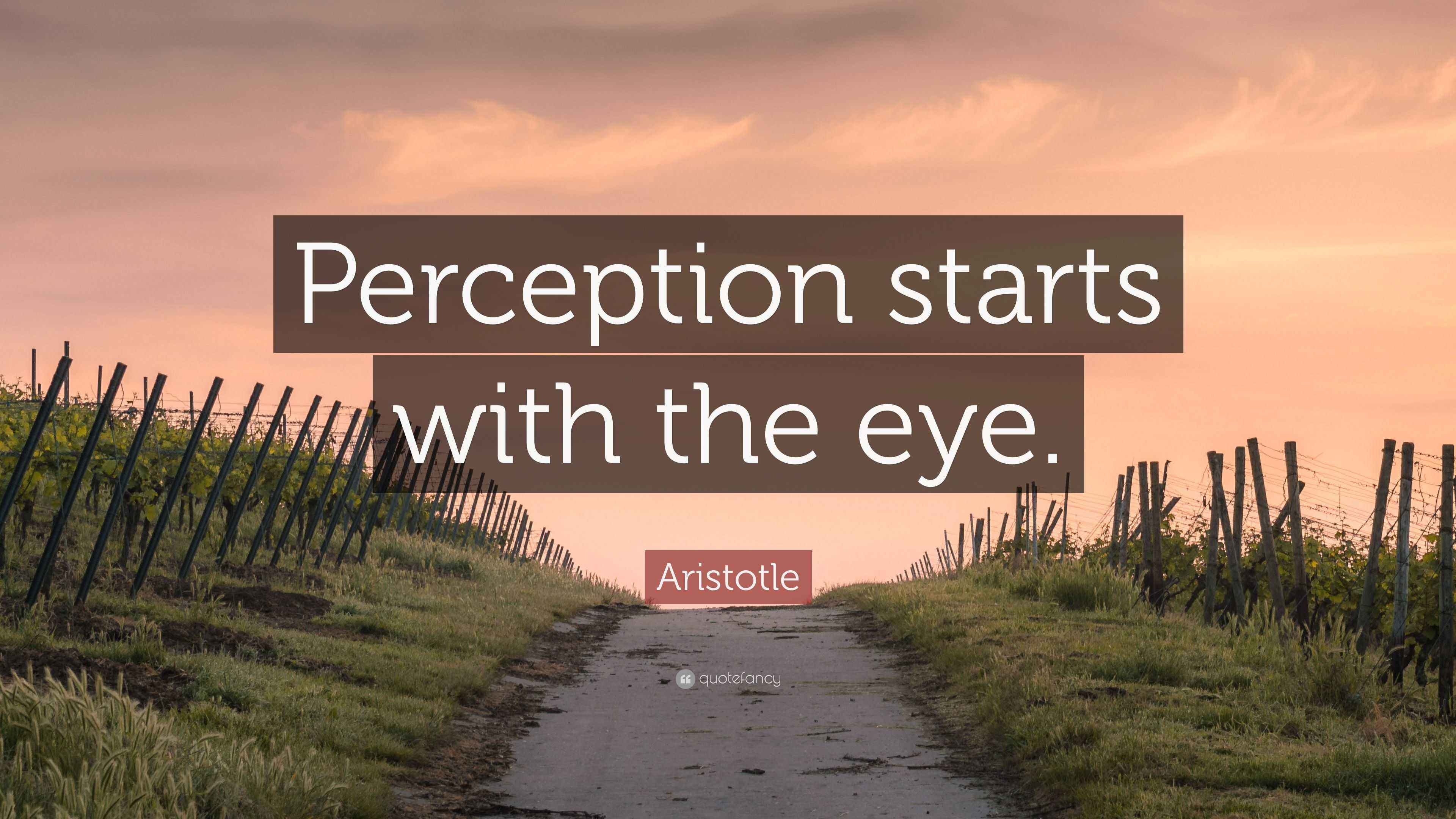 Aristotle Quote: “Perception starts with the eye.”