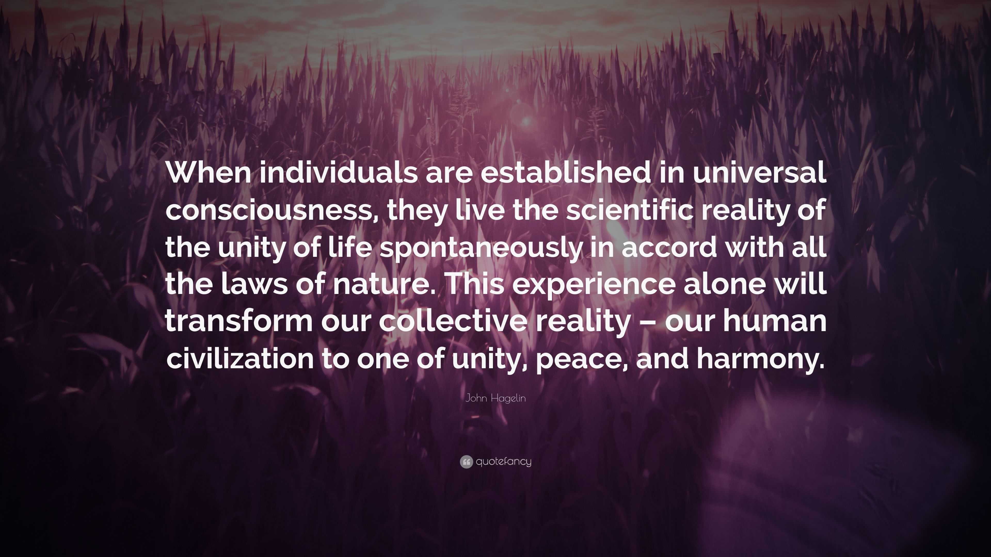 John Hagelin Quote: “When individuals are established in universal ...