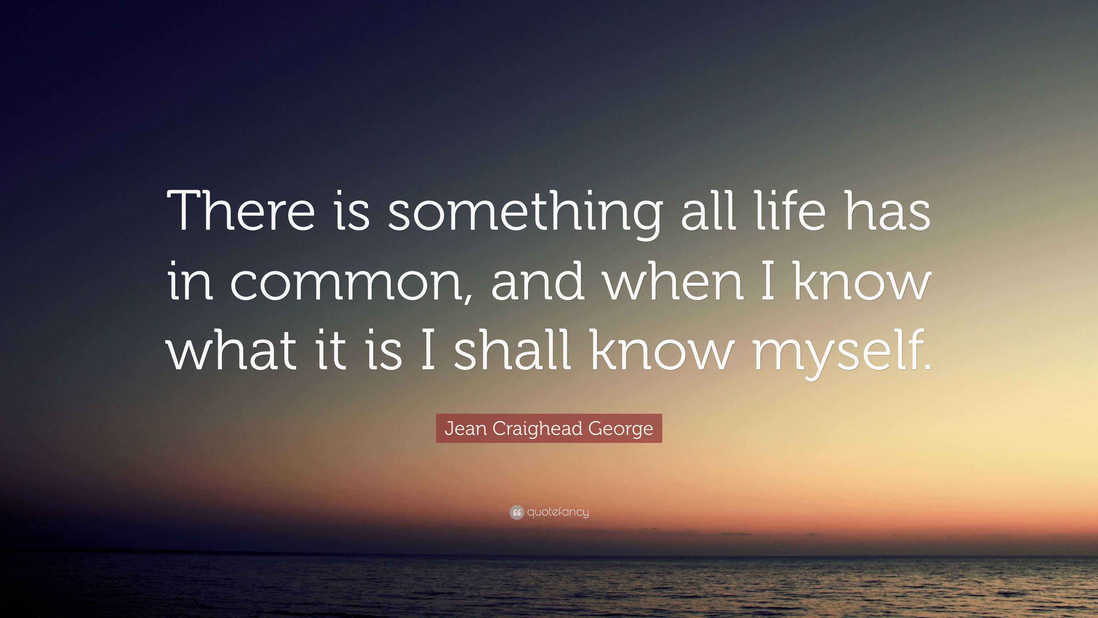 Jean Craighead George Quote: “There is something all life has in common ...