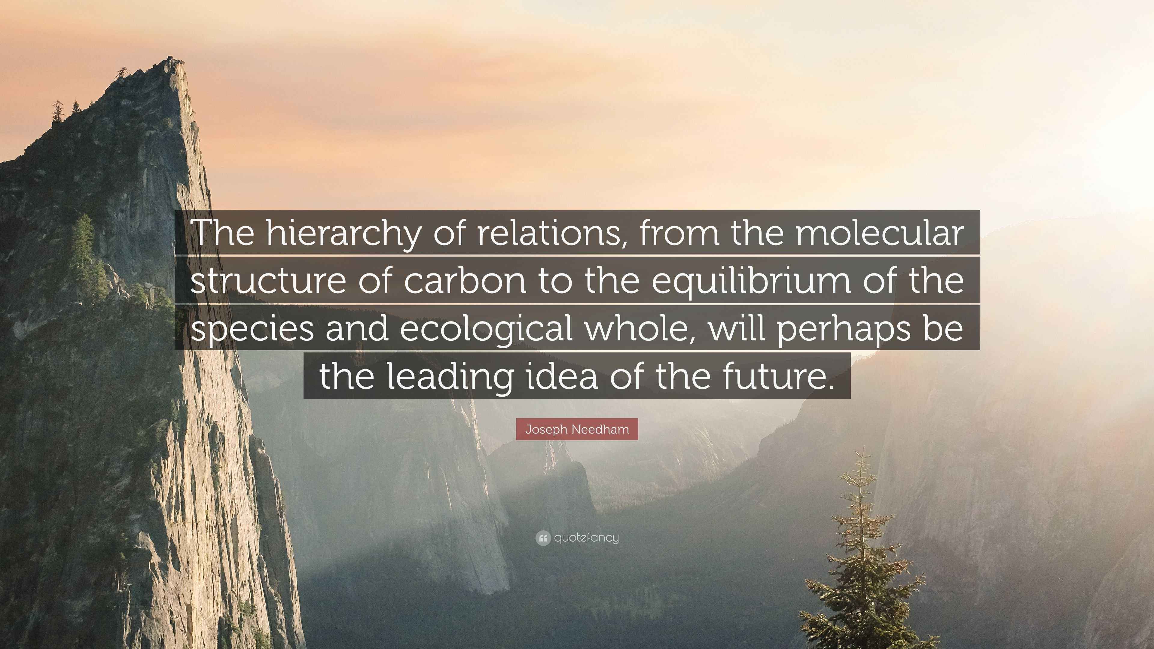 Joseph Needham Quote: “The hierarchy of relations, from the molecular ...