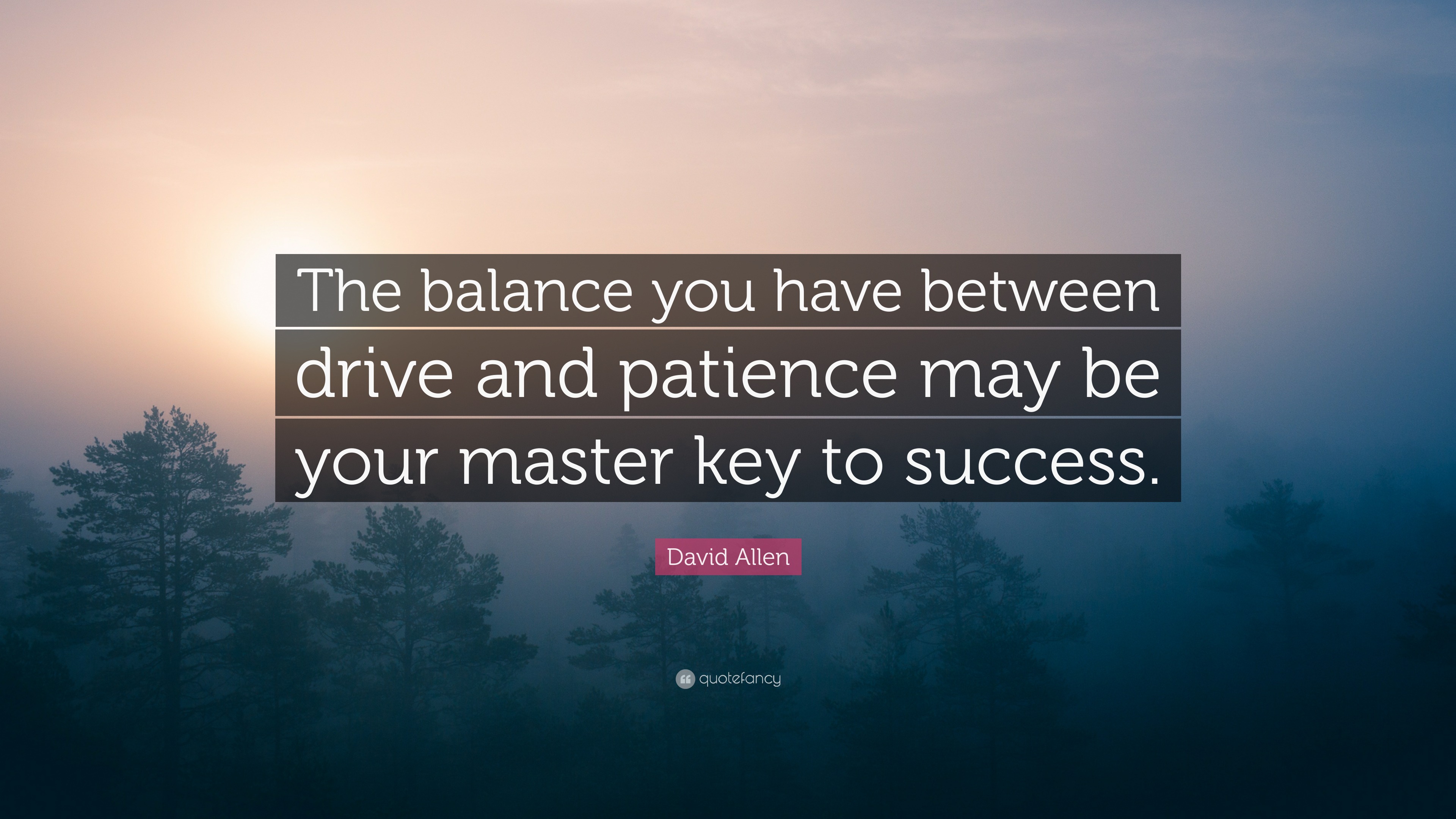 David Allen Quote: “The balance you have between drive and patience may ...