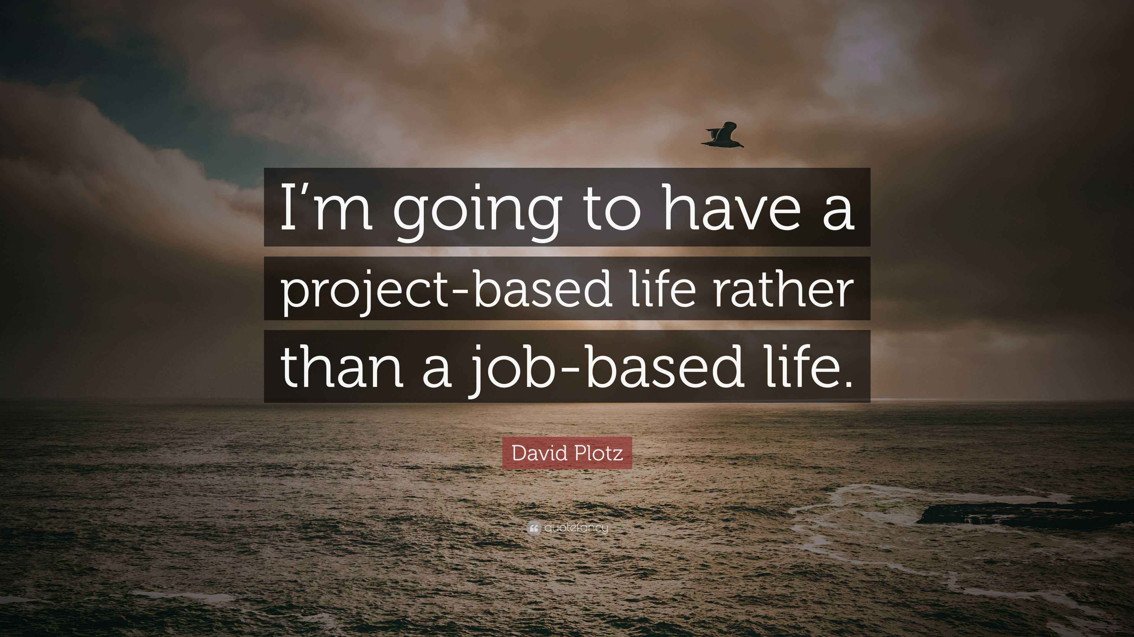 David Plotz Quote: “I’m going to have a project-based life rather than ...