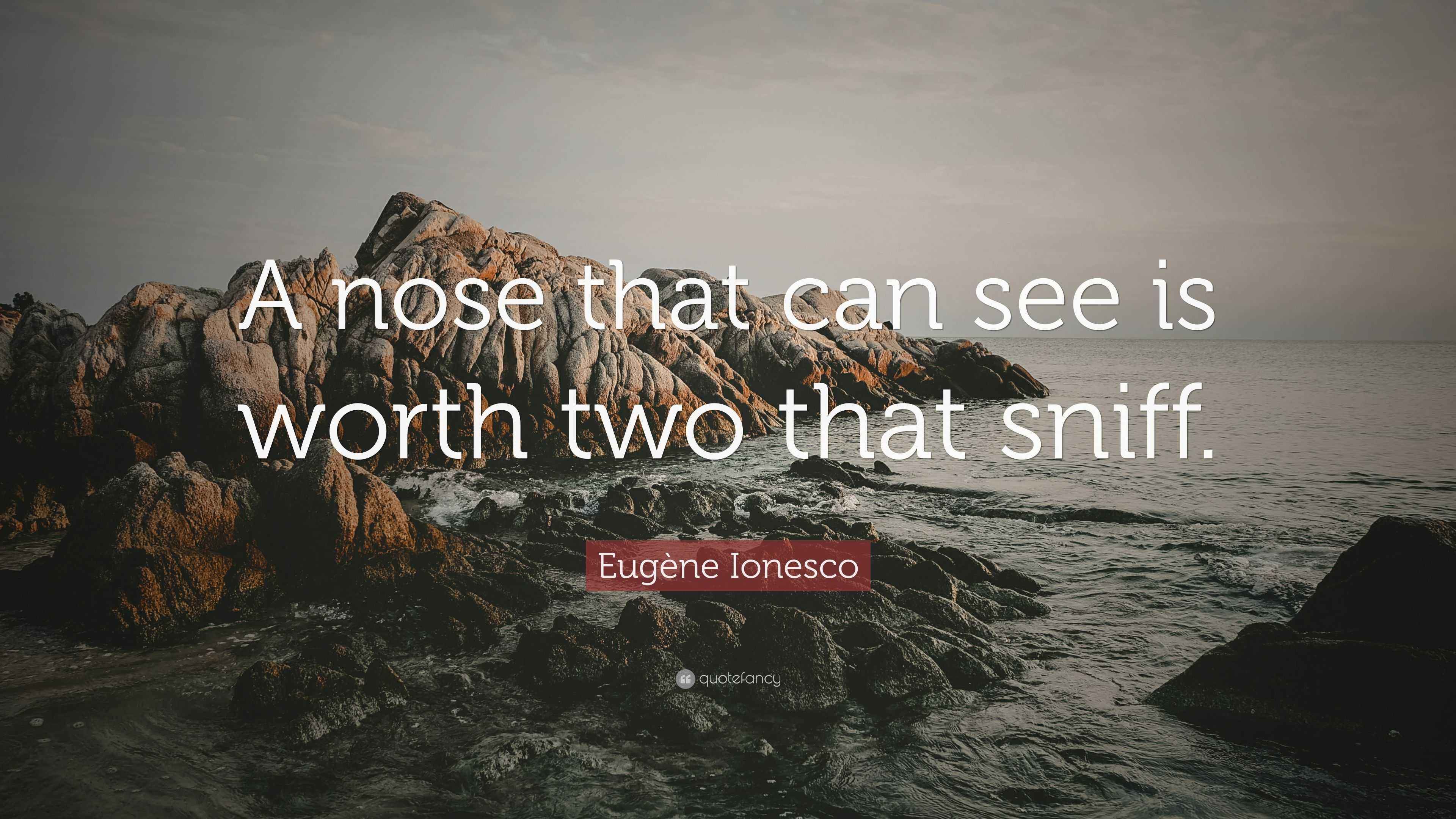 Eugène Ionesco Quote: “A nose that can see is worth two that sniff.”
