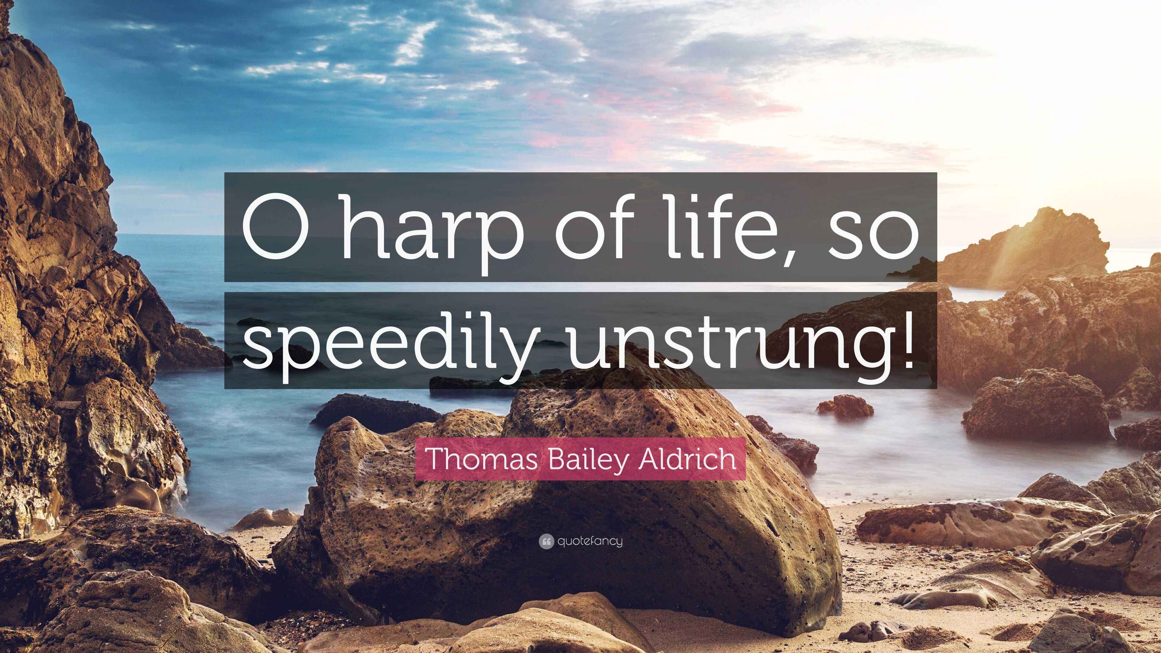 Thomas Bailey Aldrich Quote: “O harp of life, so speedily unstrung!”