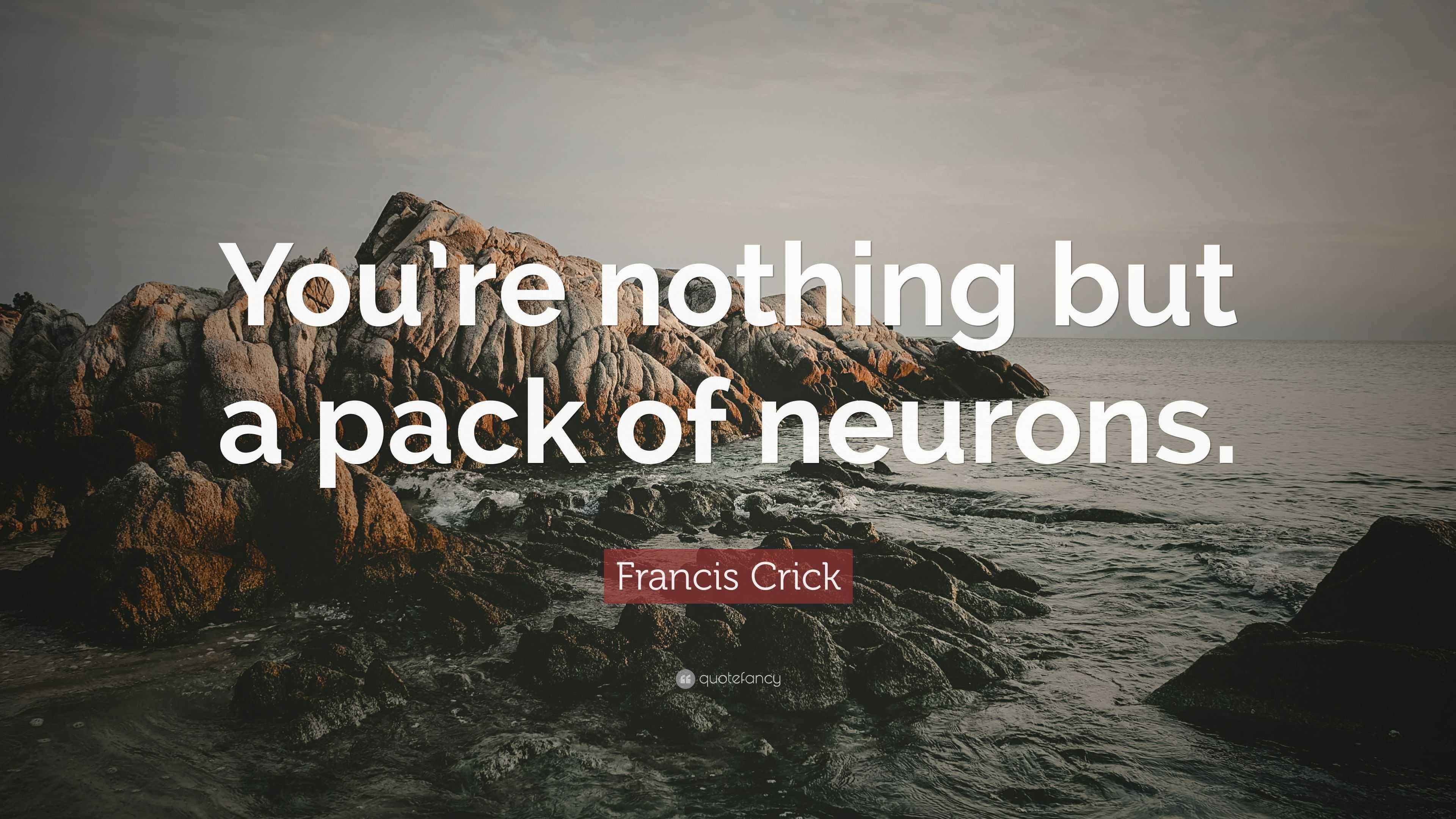 Francis Crick Quote: “You’re nothing but a pack of neurons.”