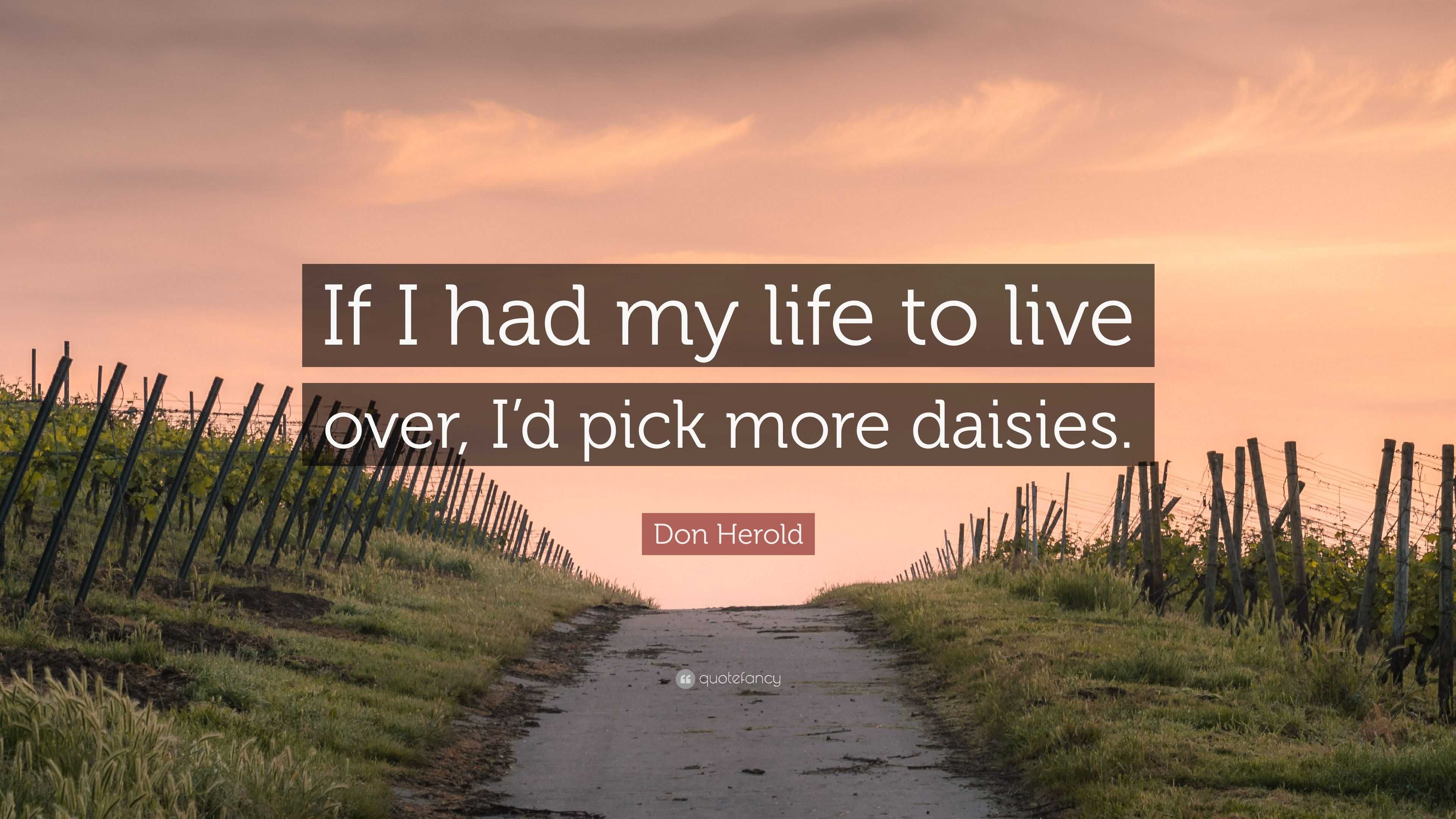 Don Herold Quote: “If I had my life to live over, I’d pick more daisies.”