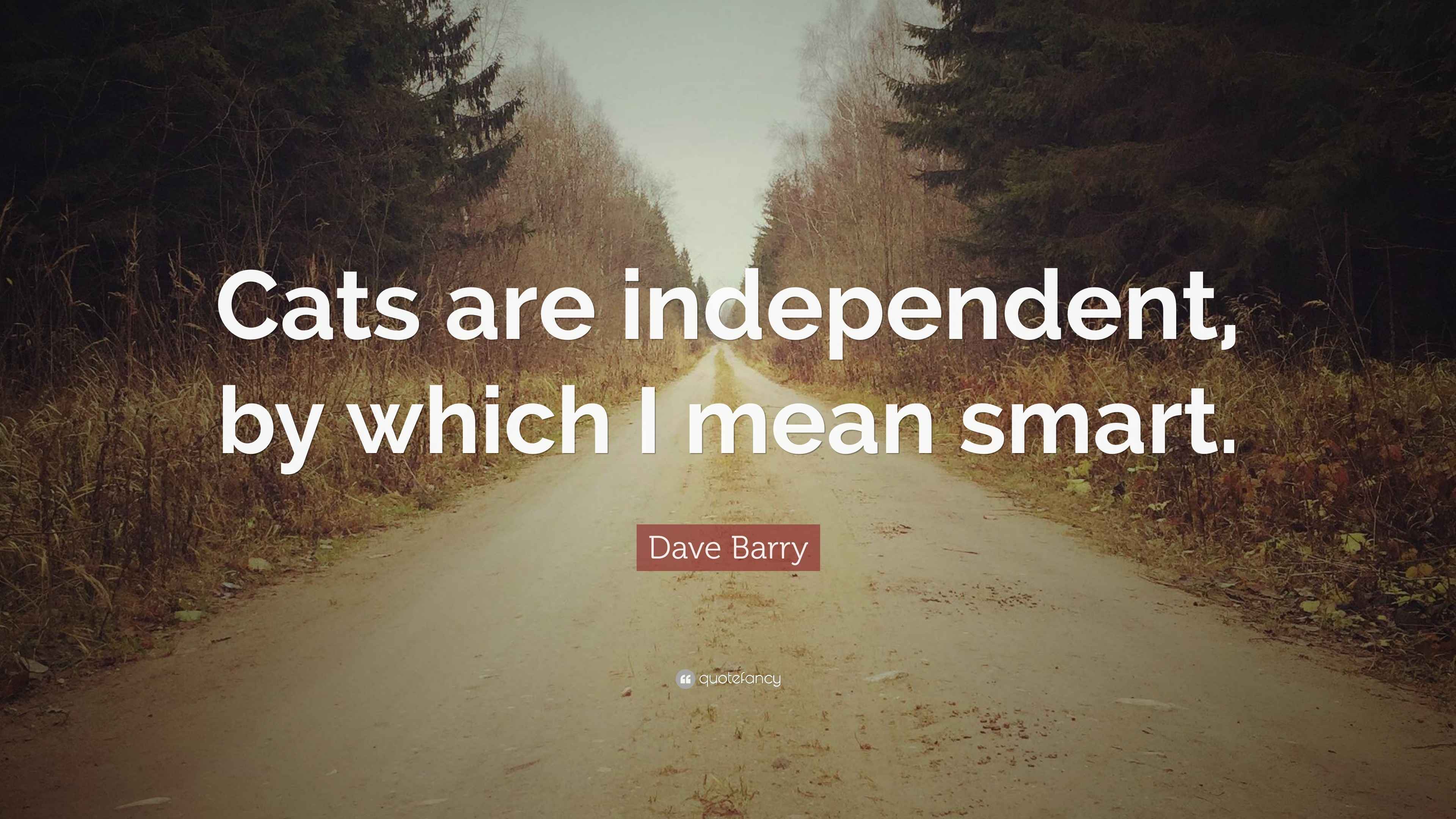 Dave Barry Quote: “Cats are independent, by which I mean smart.”