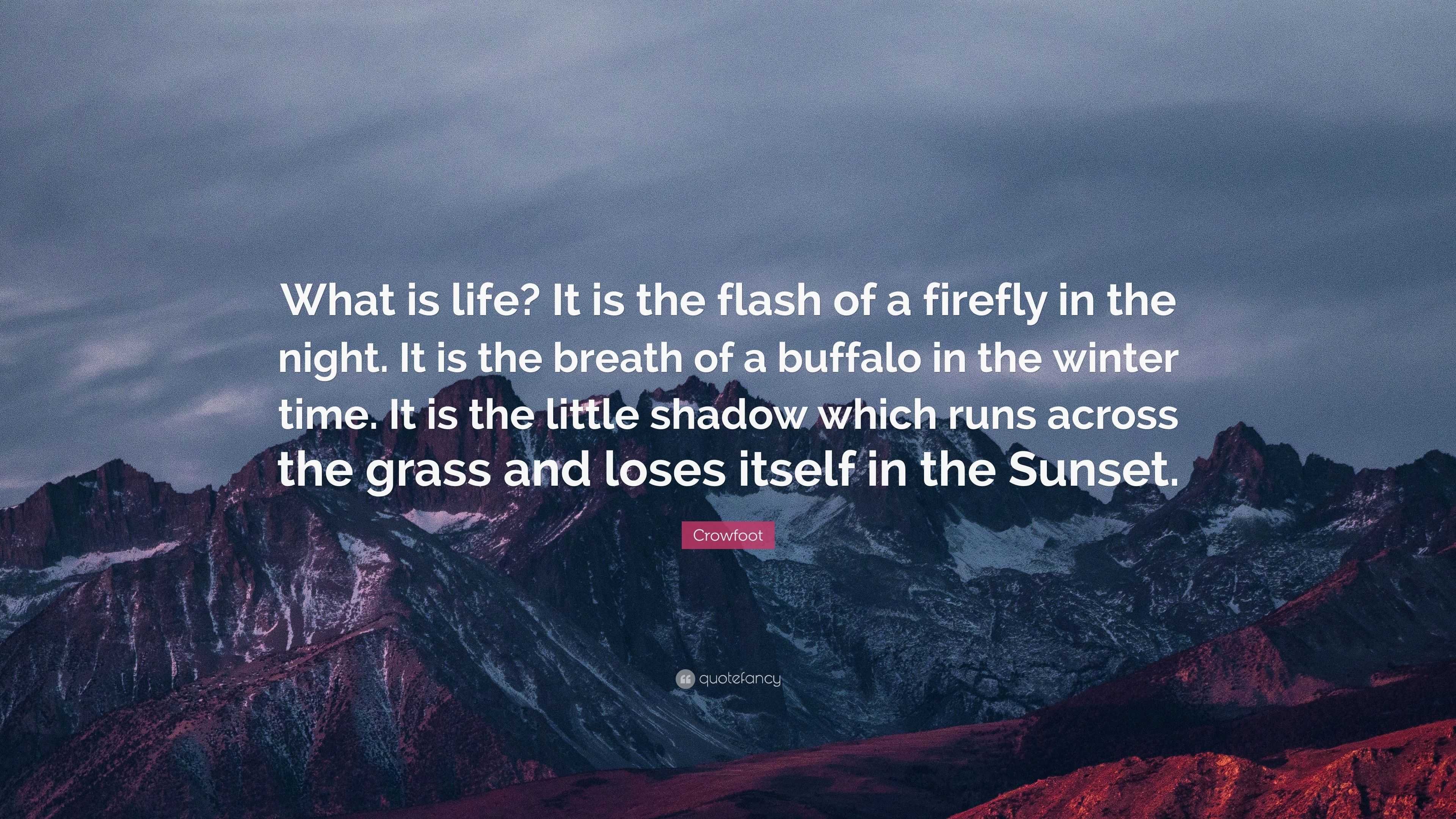 Crowfoot Quote: “What is life? It is the flash of a firefly in the ...