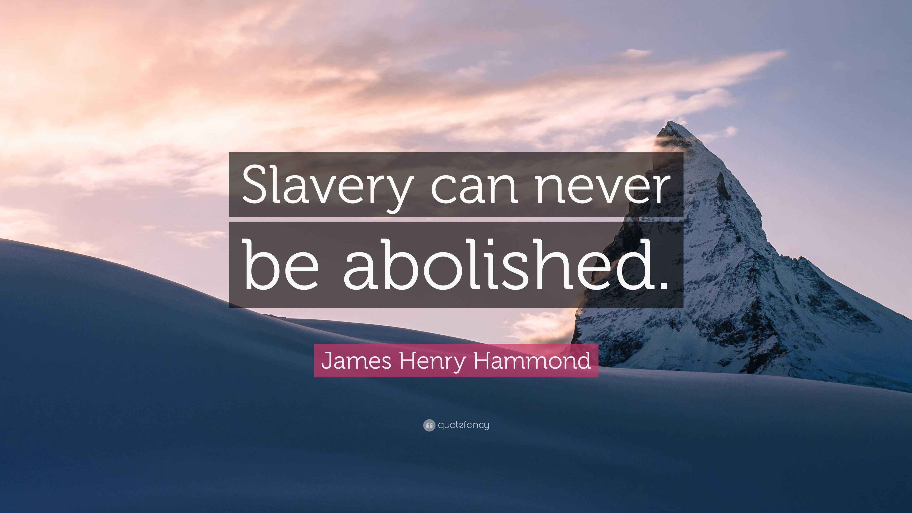 James Henry Hammond Quote: “Slavery can never be abolished.”