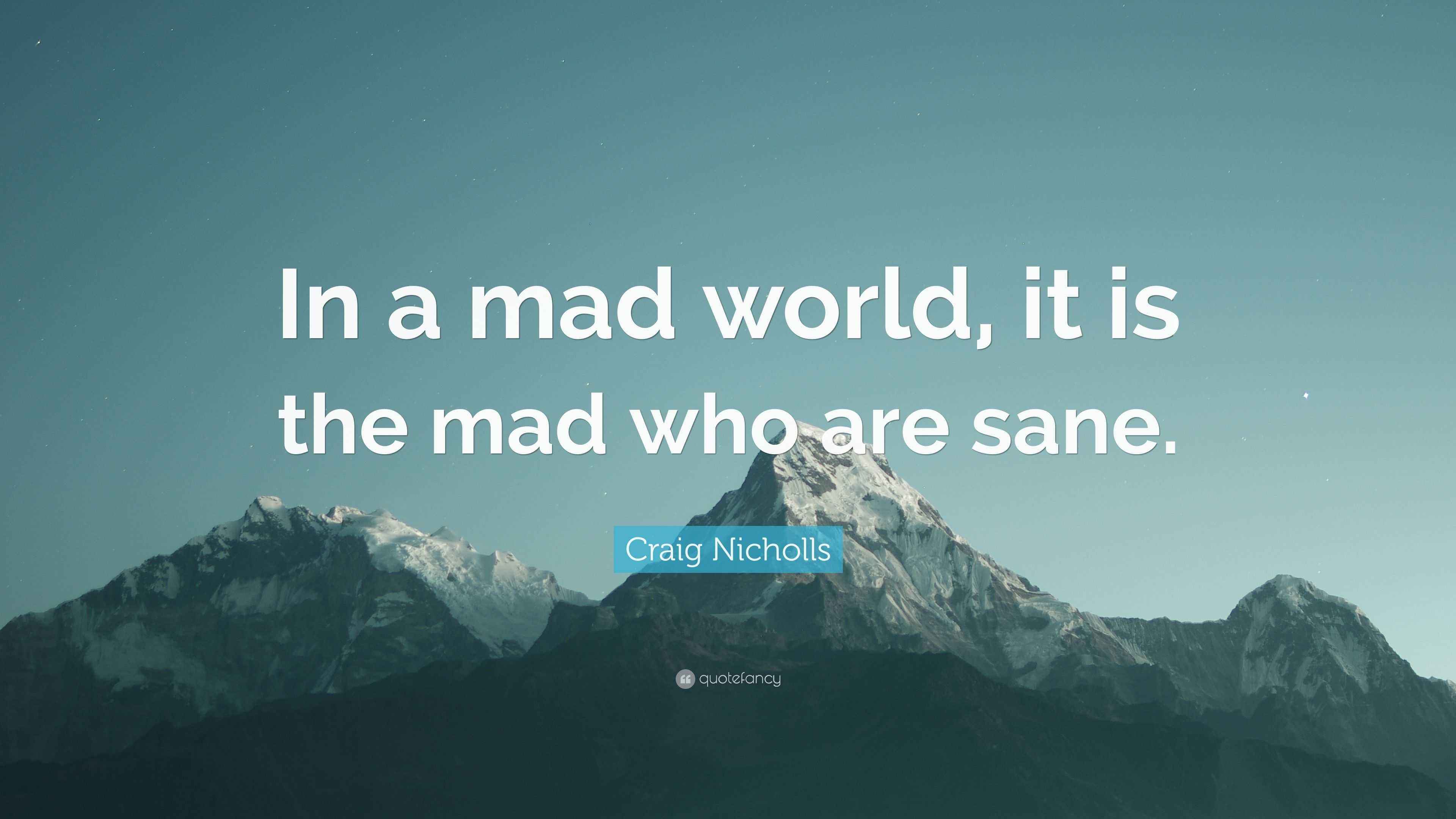 Craig Nicholls Quote: “In a mad world, it is the mad who are sane.”