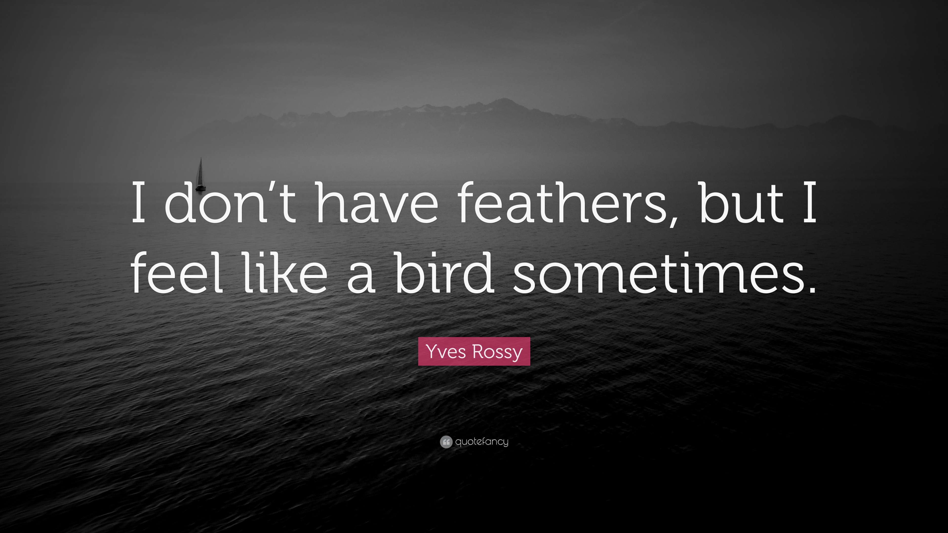 Yves Rossy Quote: “I don’t have feathers, but I feel like a bird ...