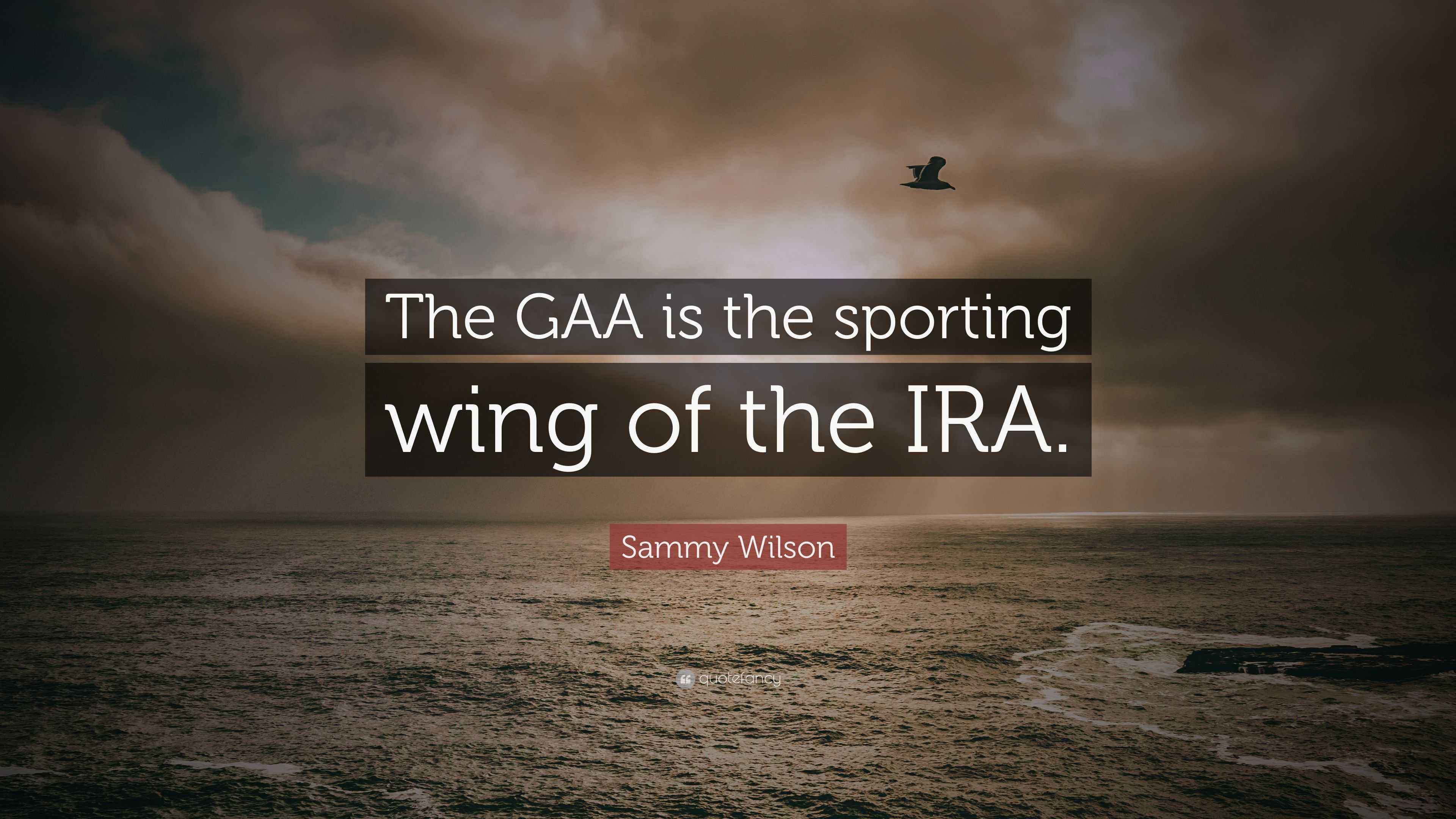 Sammy Wilson Quote: “The GAA is the sporting wing of the IRA.”