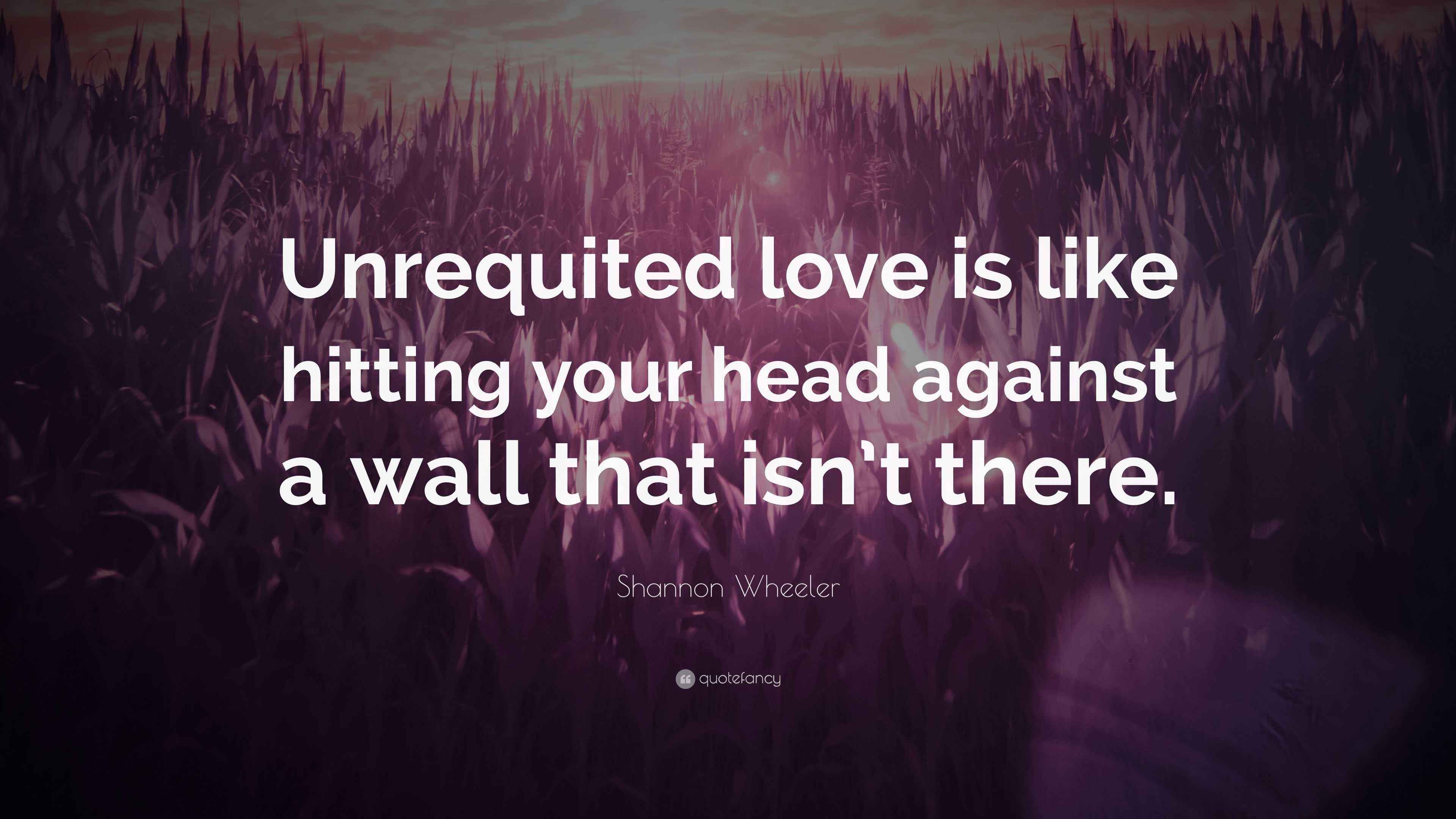 Shannon Wheeler Quote: “Unrequited love is like hitting your head ...