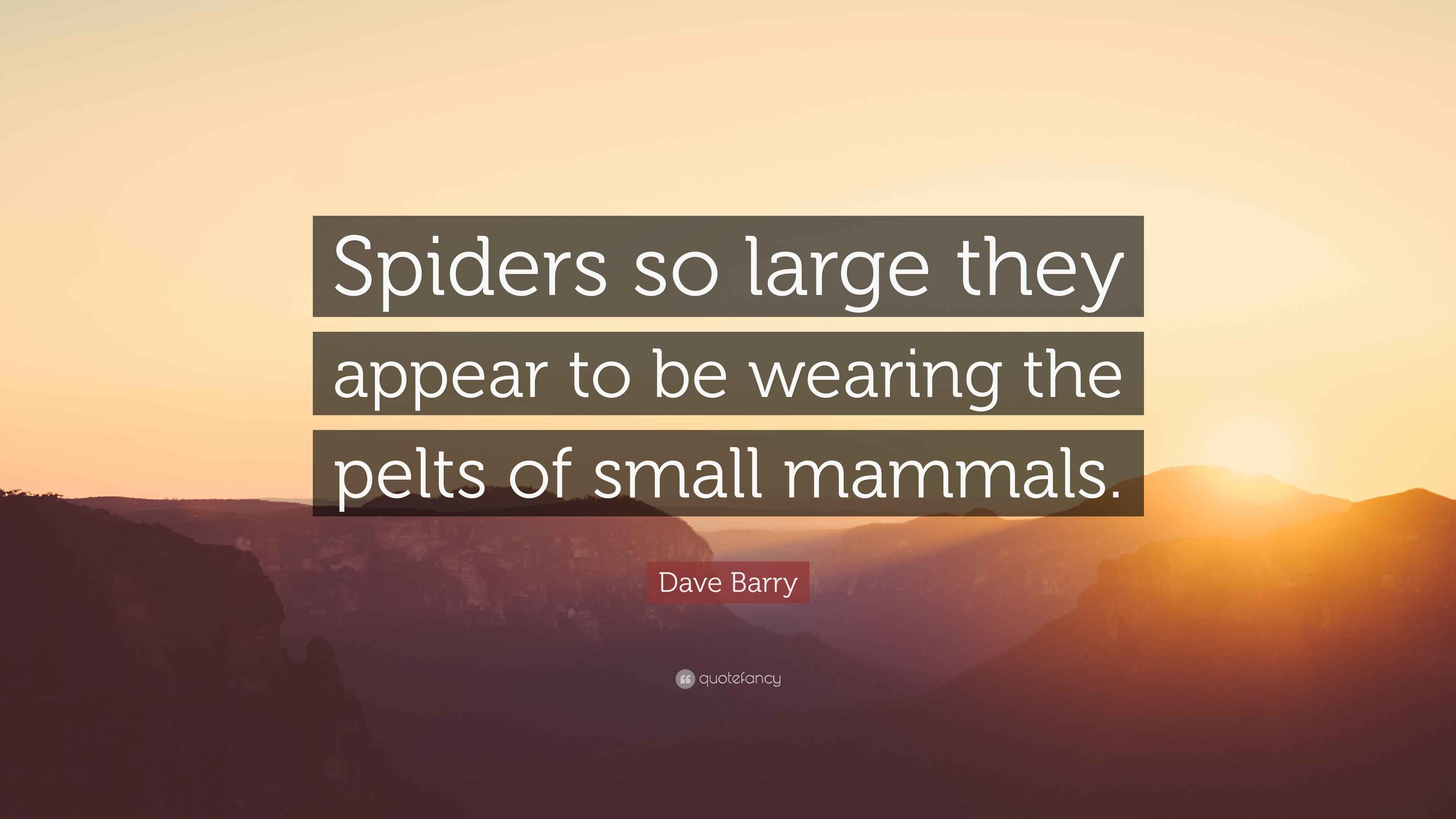 Dave Barry Quote: “Spiders so large they appear to be wearing the pelts ...