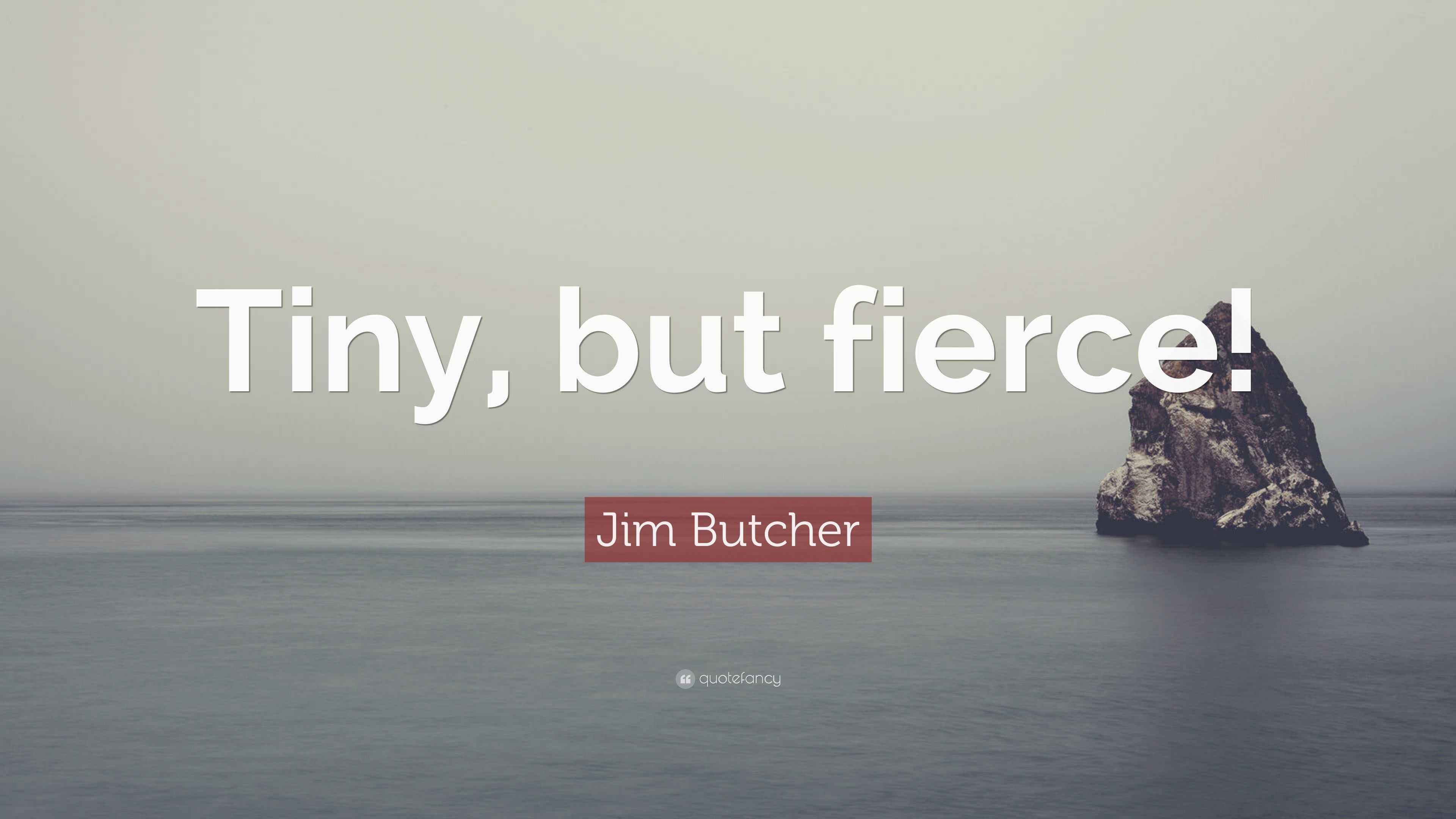 Jim Butcher Quote: “Tiny, but fierce!”