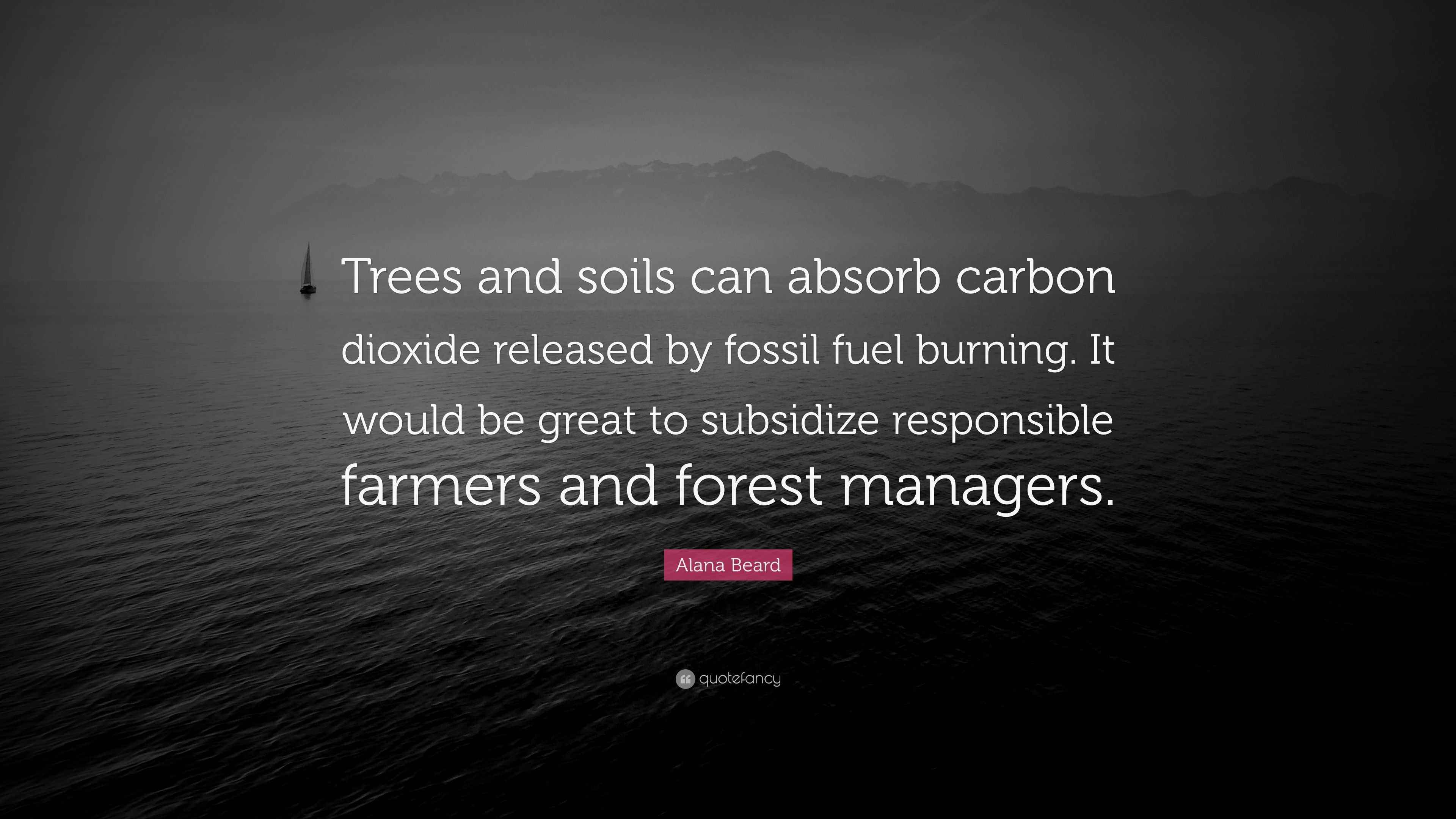 Alana Beard Quote: “Trees and soils can absorb carbon dioxide released ...