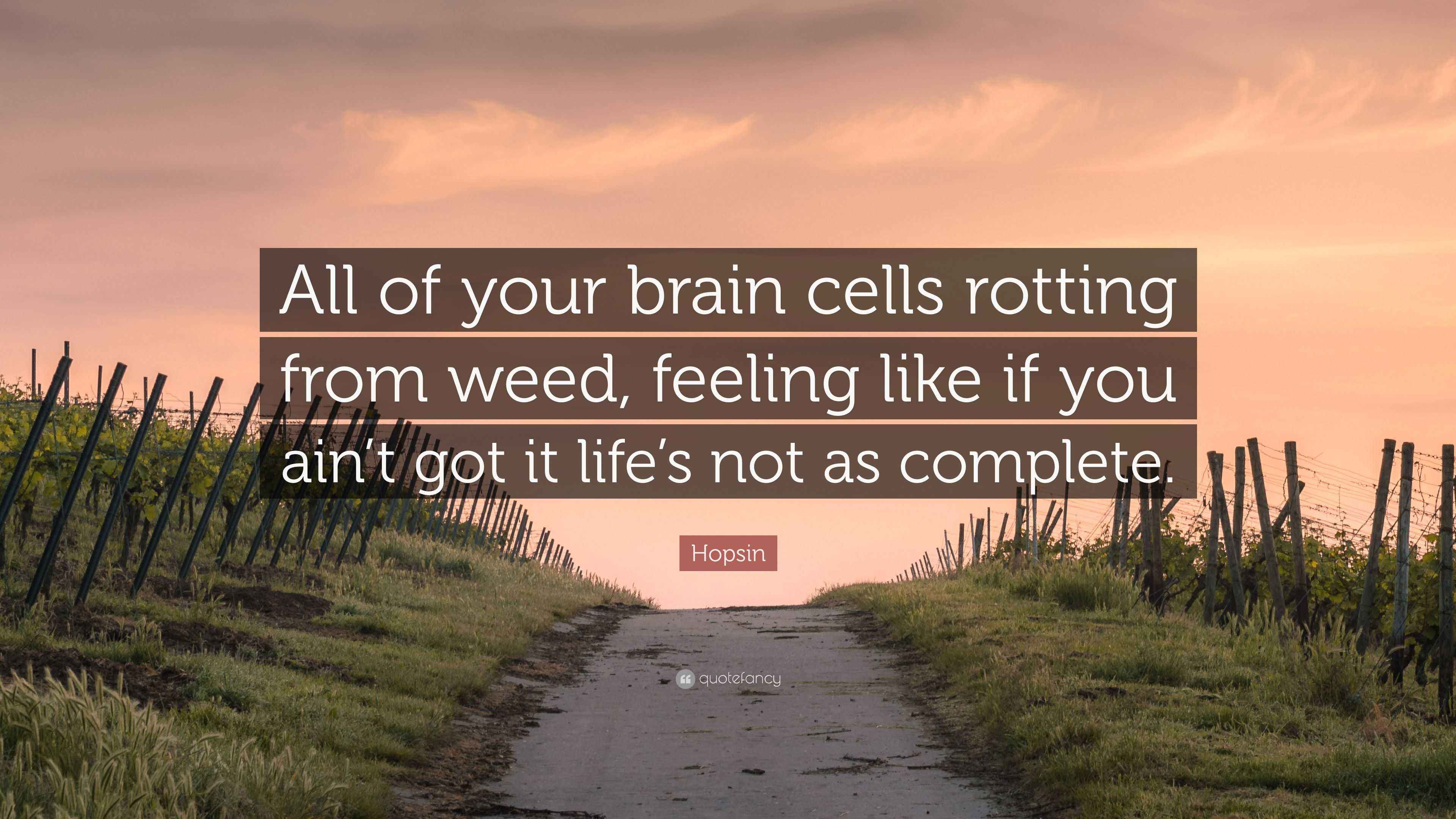 Hopsin Quote: “All of your brain cells rotting from weed, feeling like ...