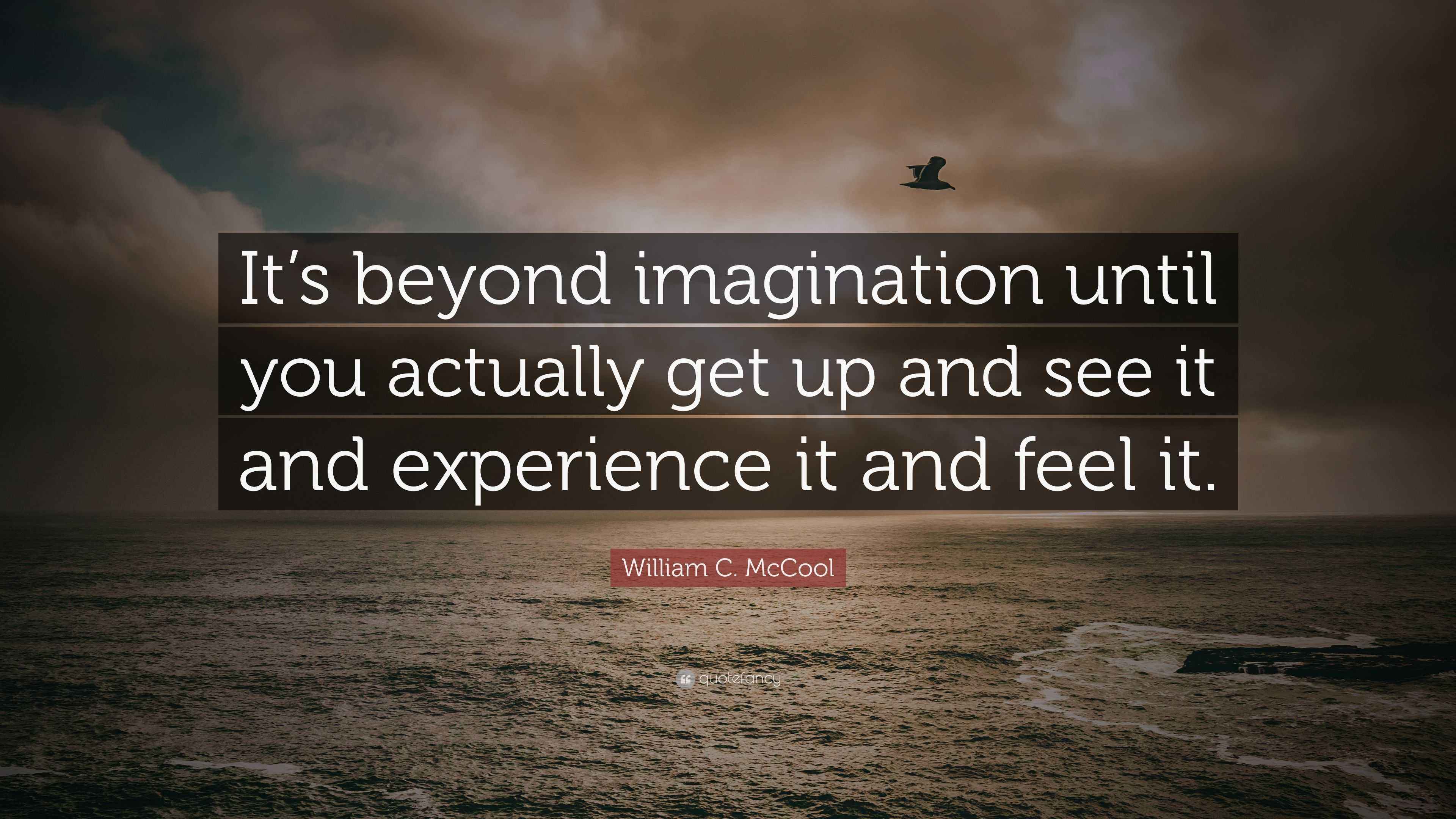 William C. McCool Quote: “It’s beyond imagination until you actually ...