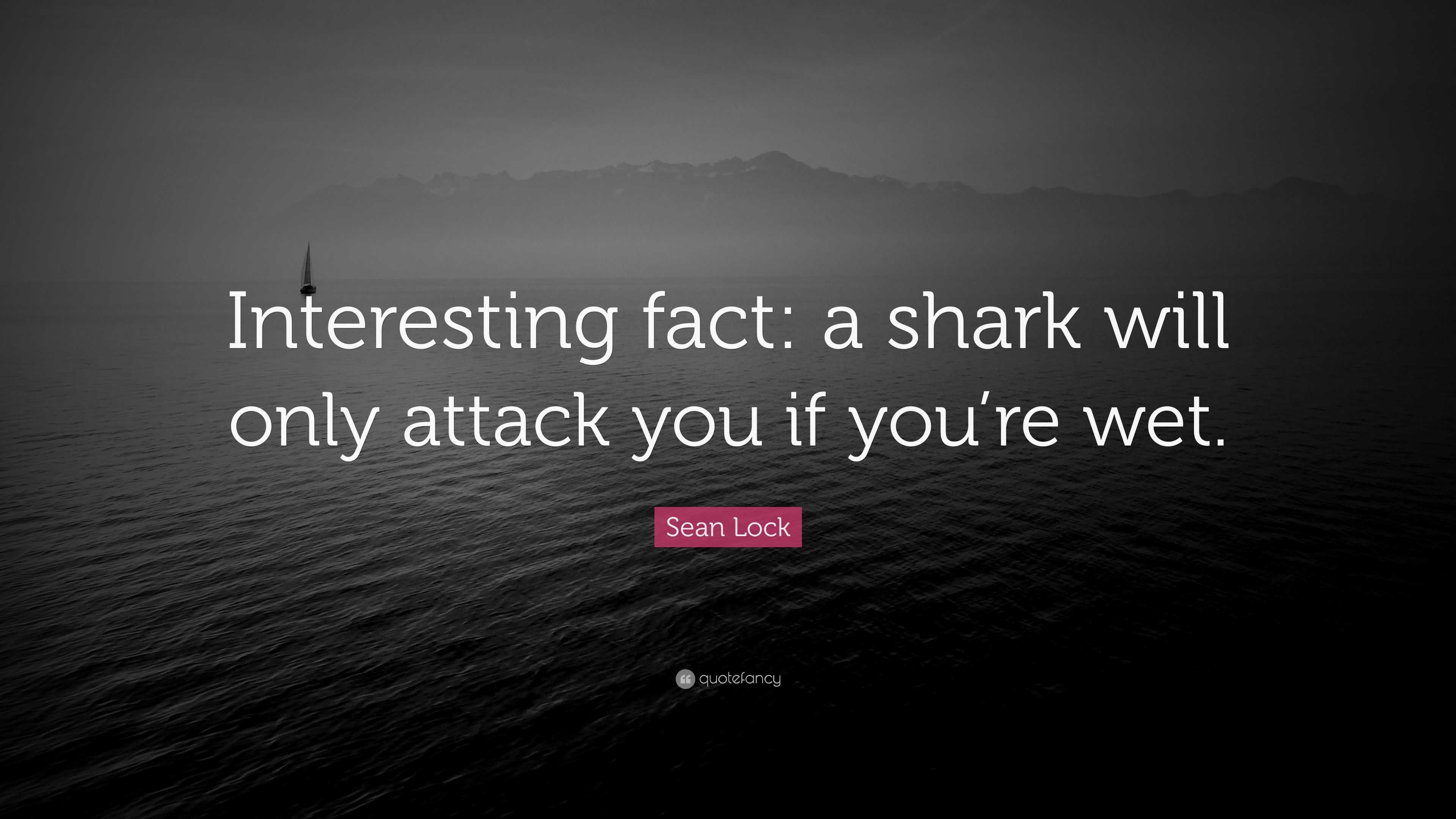 Sean Lock Quote: “Interesting fact: a shark will only attack you if you ...