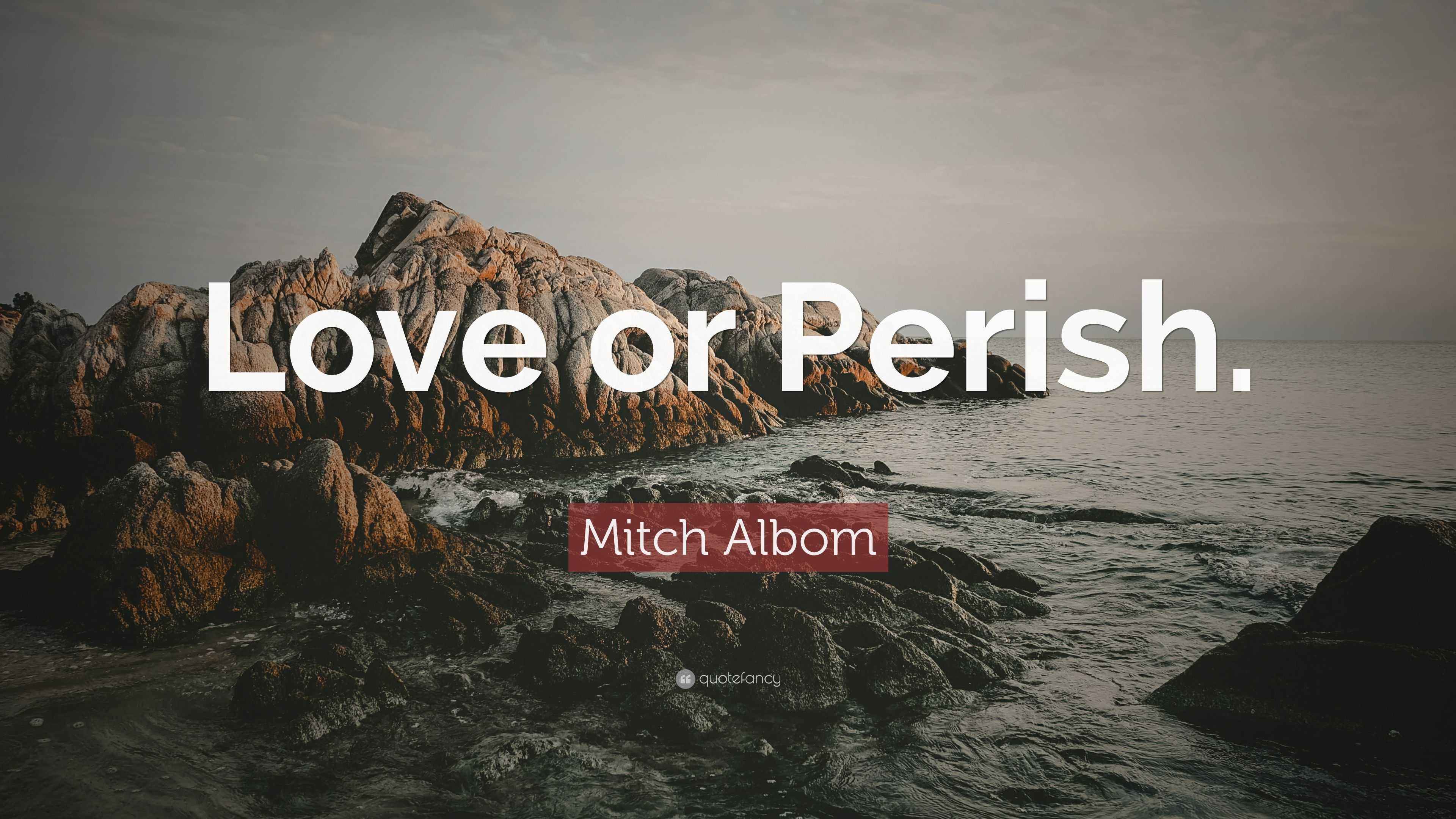 Mitch Albom Quote: “Love or Perish.”