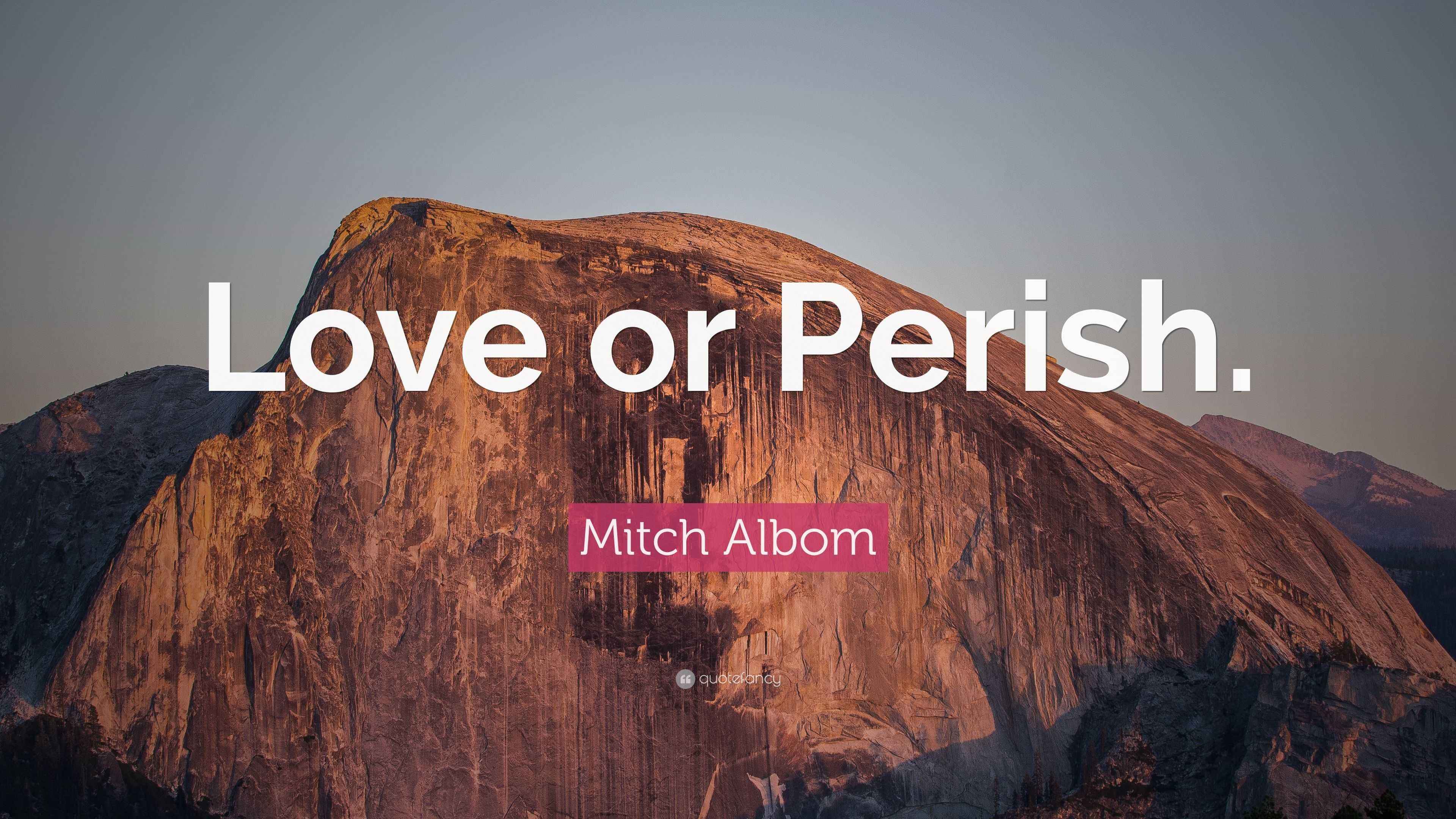 Mitch Albom Quote: “Love or Perish.”