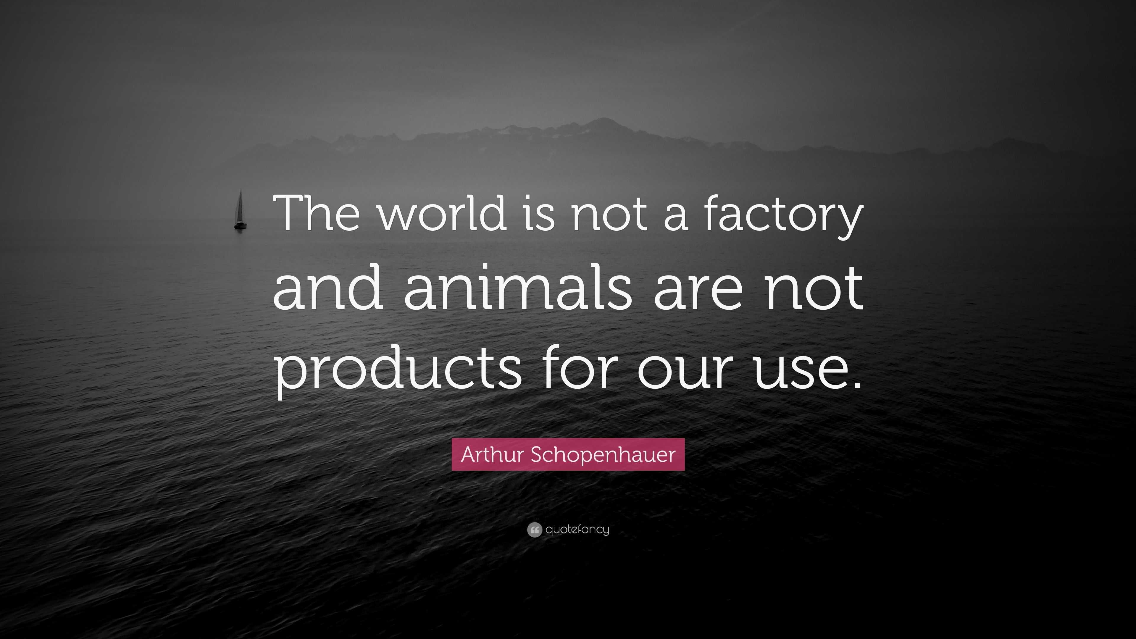 Arthur Schopenhauer Quote: “The world is not a factory and animals are ...