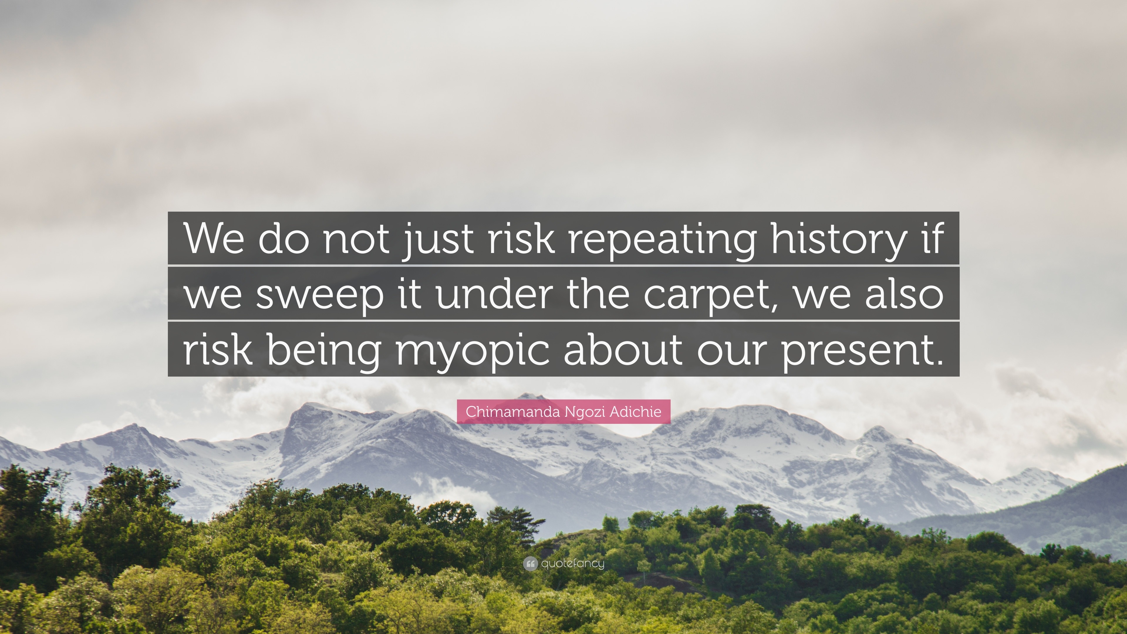 Chimamanda Ngozi Adichie Quote: “We do not just risk repeating history ...