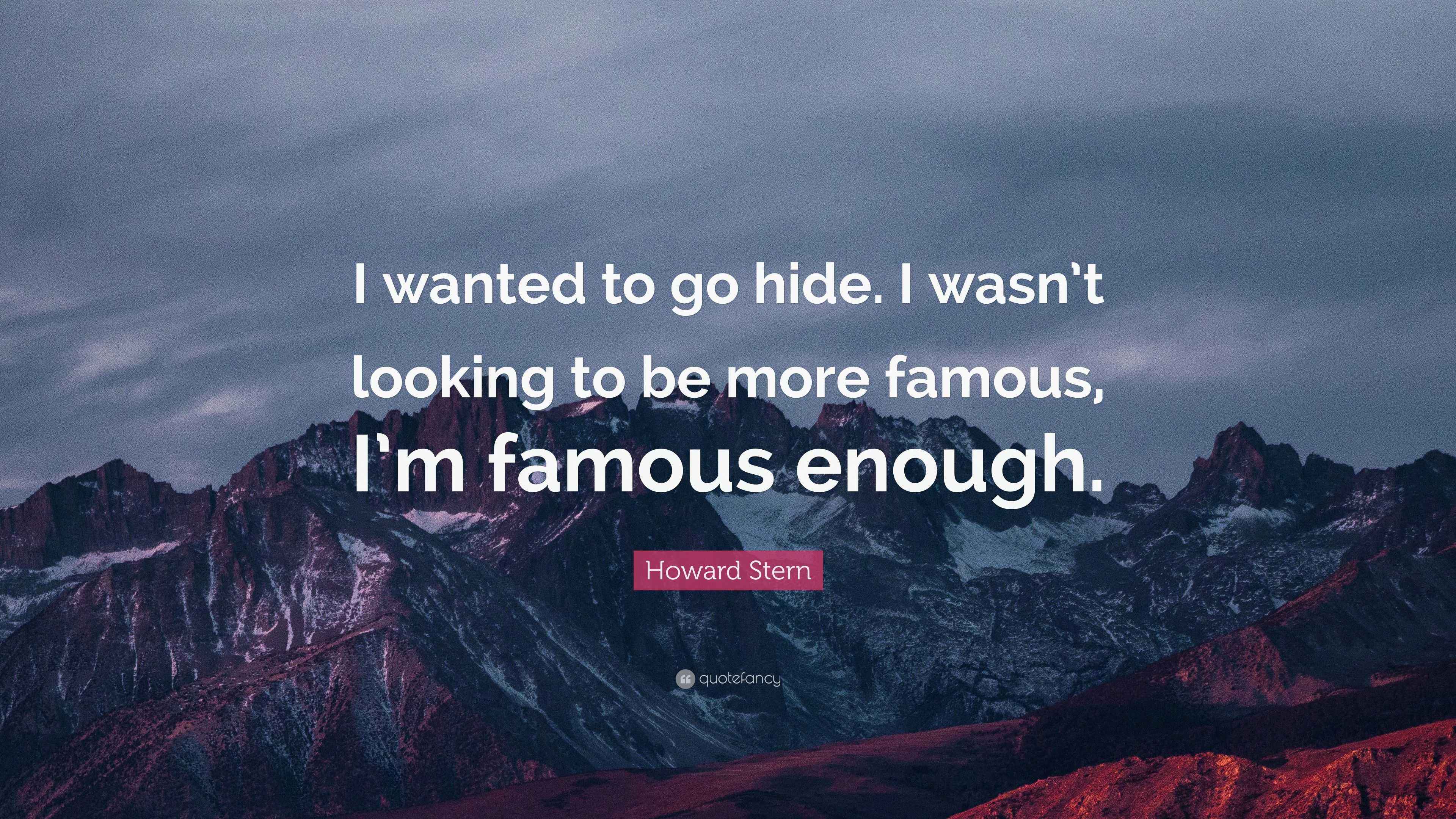 Howard Stern Quote: “I wanted to go hide. I wasn’t looking to be more ...